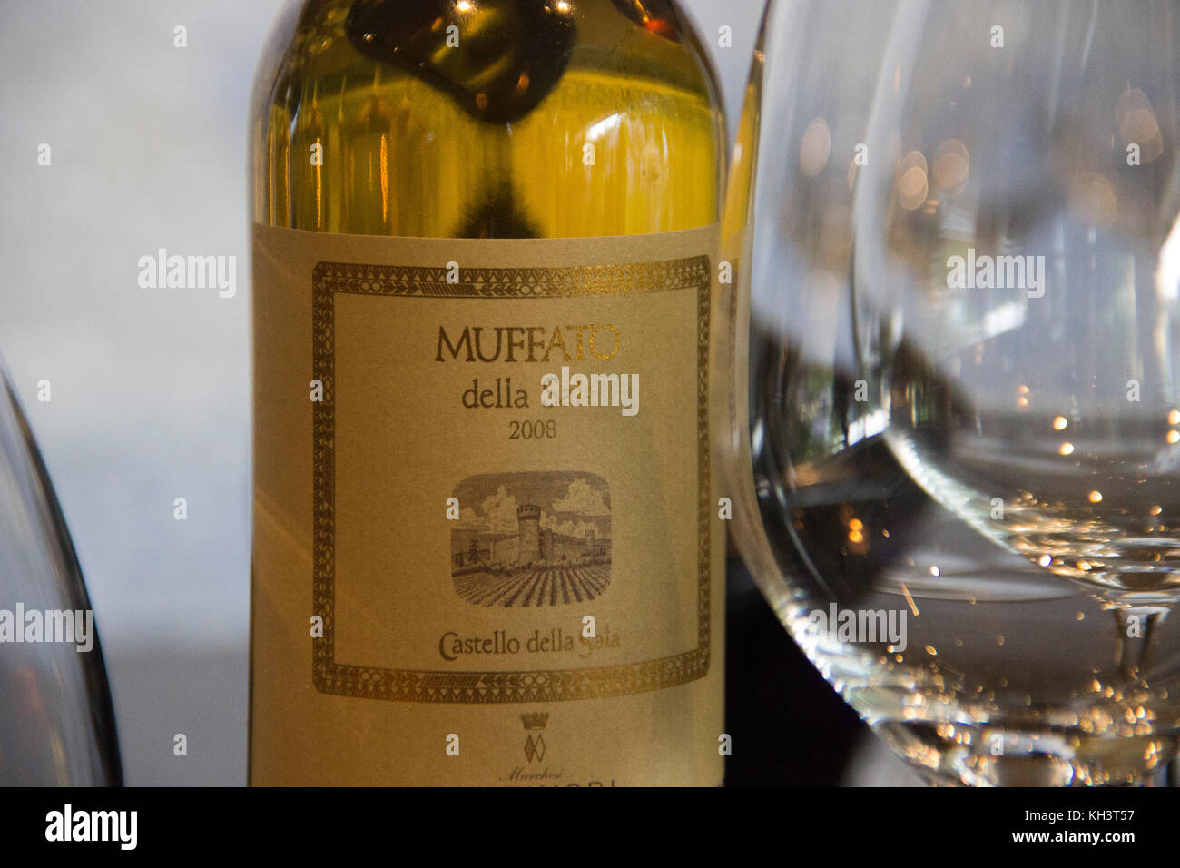 Muffato wine at the Presentation of the Antinori wine at the Resort ...