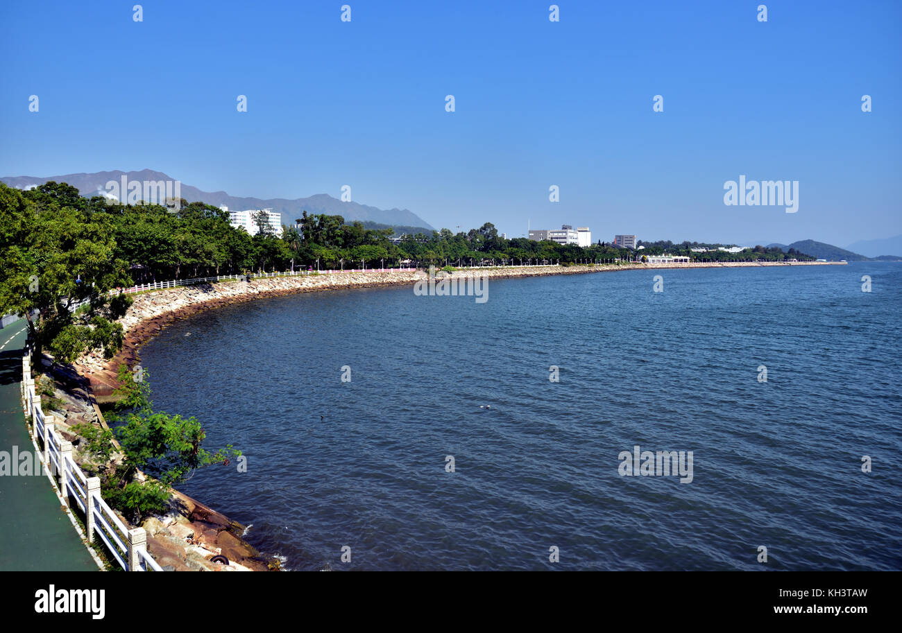 Line of trees in Tai Po Waterfront Park alongshore Tolo Harbour, Hong ...