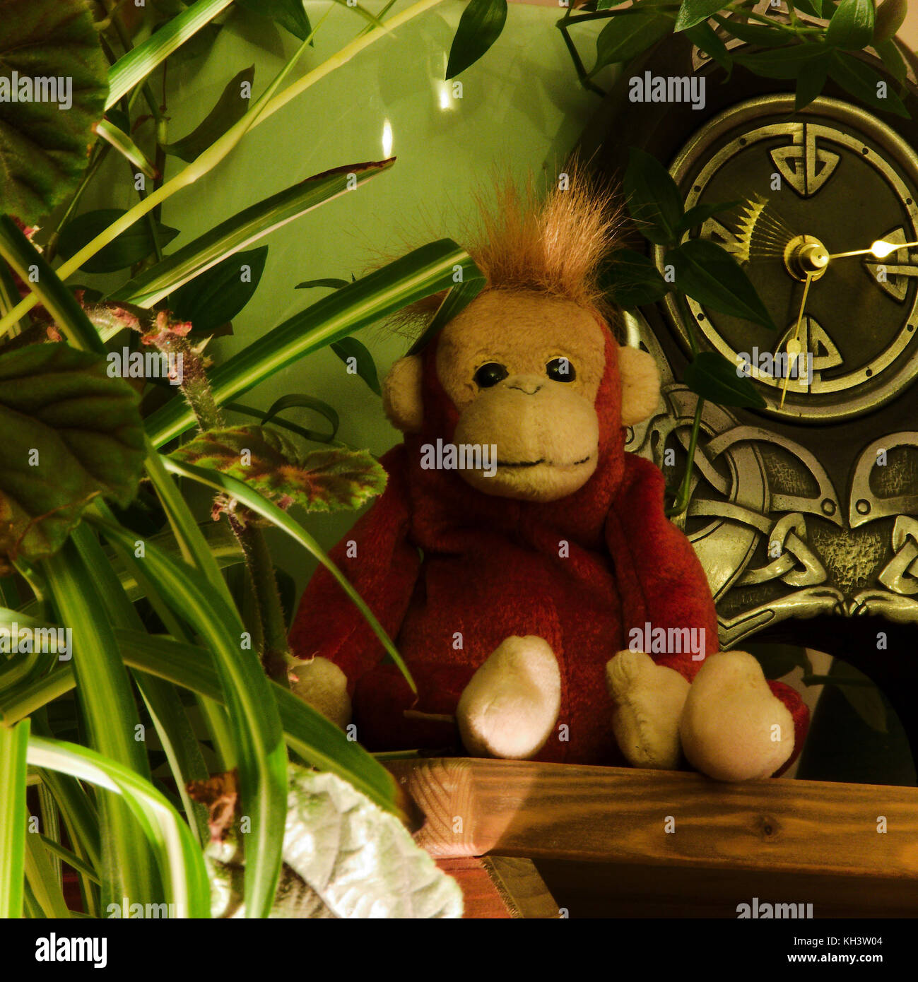 Monkey with time Stock Photo - Alamy
