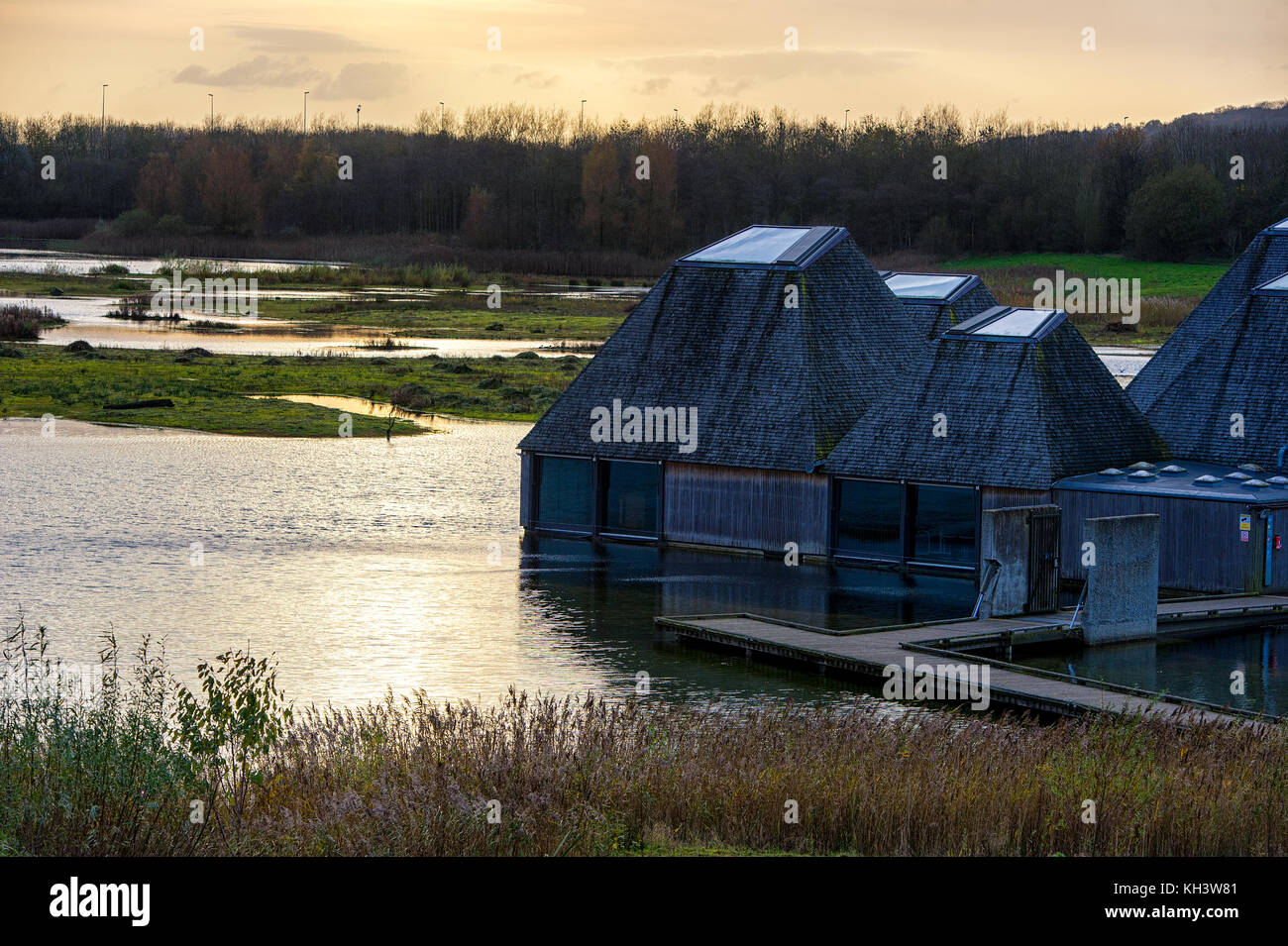 Lancashire Wildlife Trust's Brockholes Nature Reserve, Preston ...