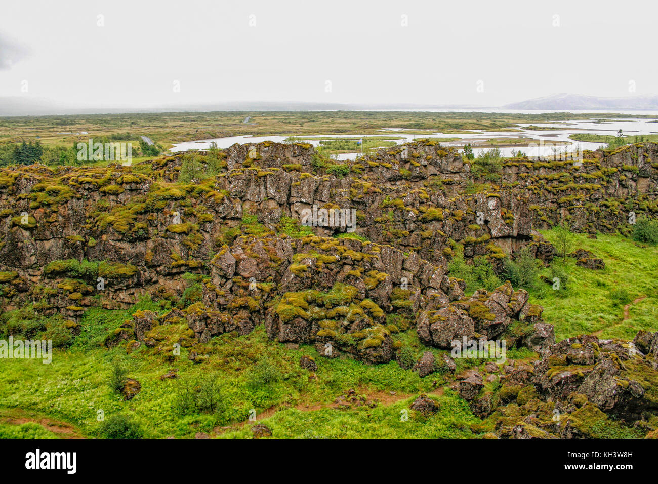 Aerial view of rocks with moss in Iceland Stock Photo - Alamy