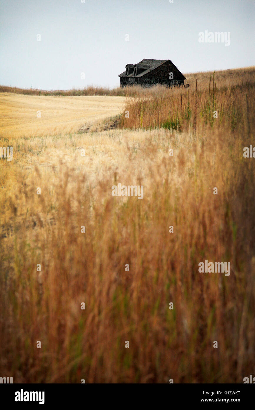 Old Molson Ghost Town in Washington State USA. landscapes and ...
