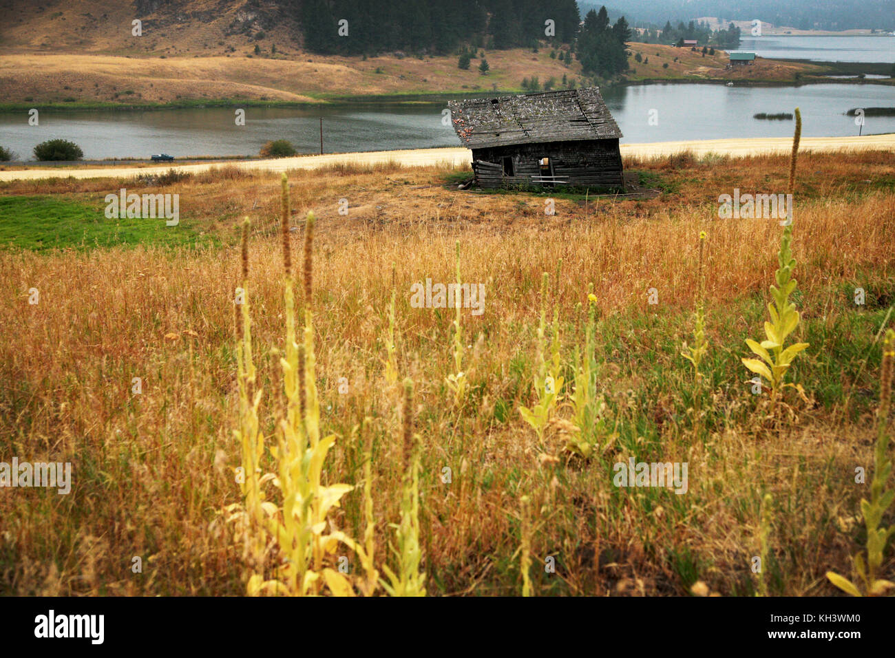 Old Molson Ghost Town in Washington State USA. landscapes and ...