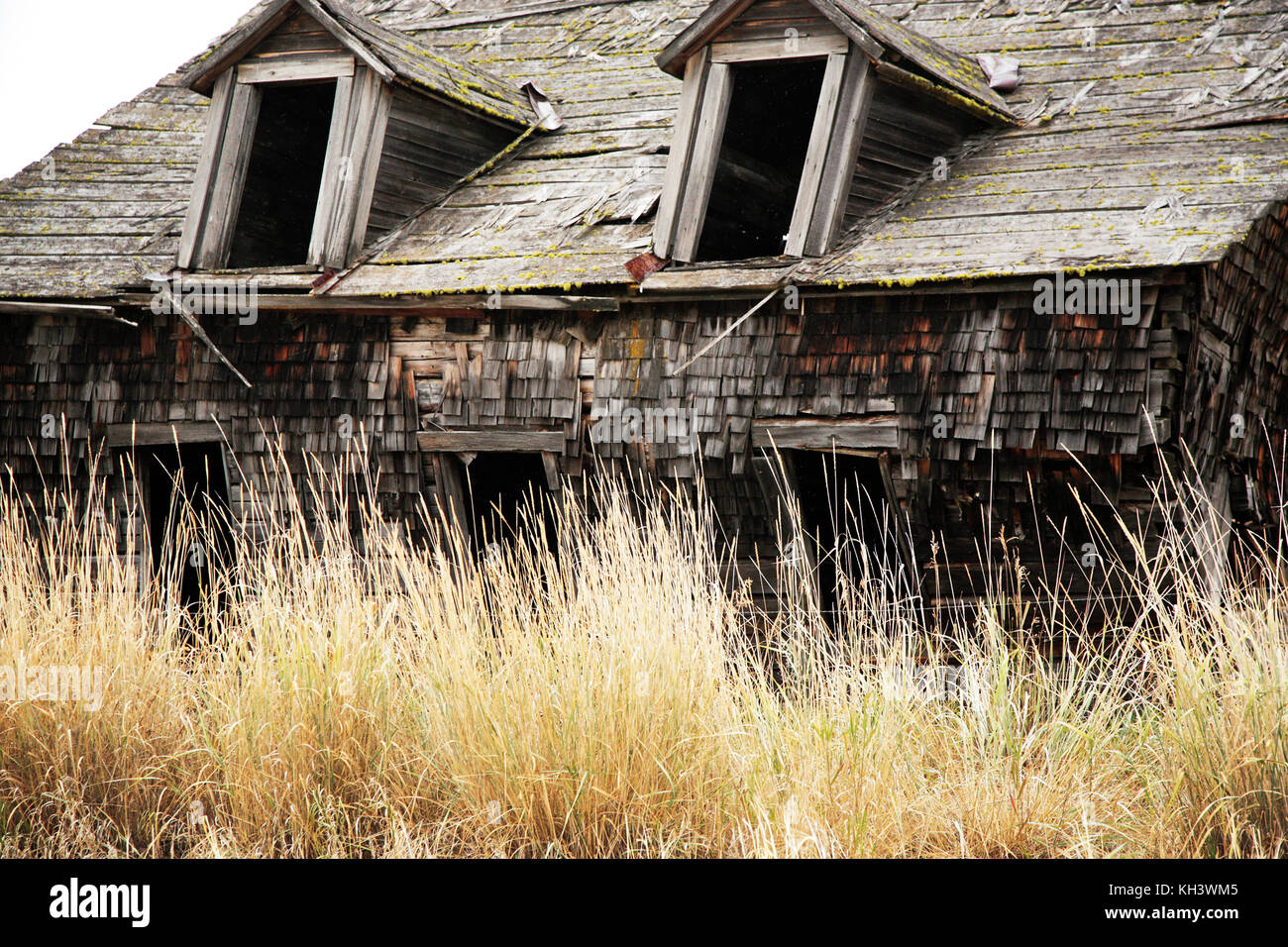 Old Molson Ghost Town in Washington State USA. landscapes and ...