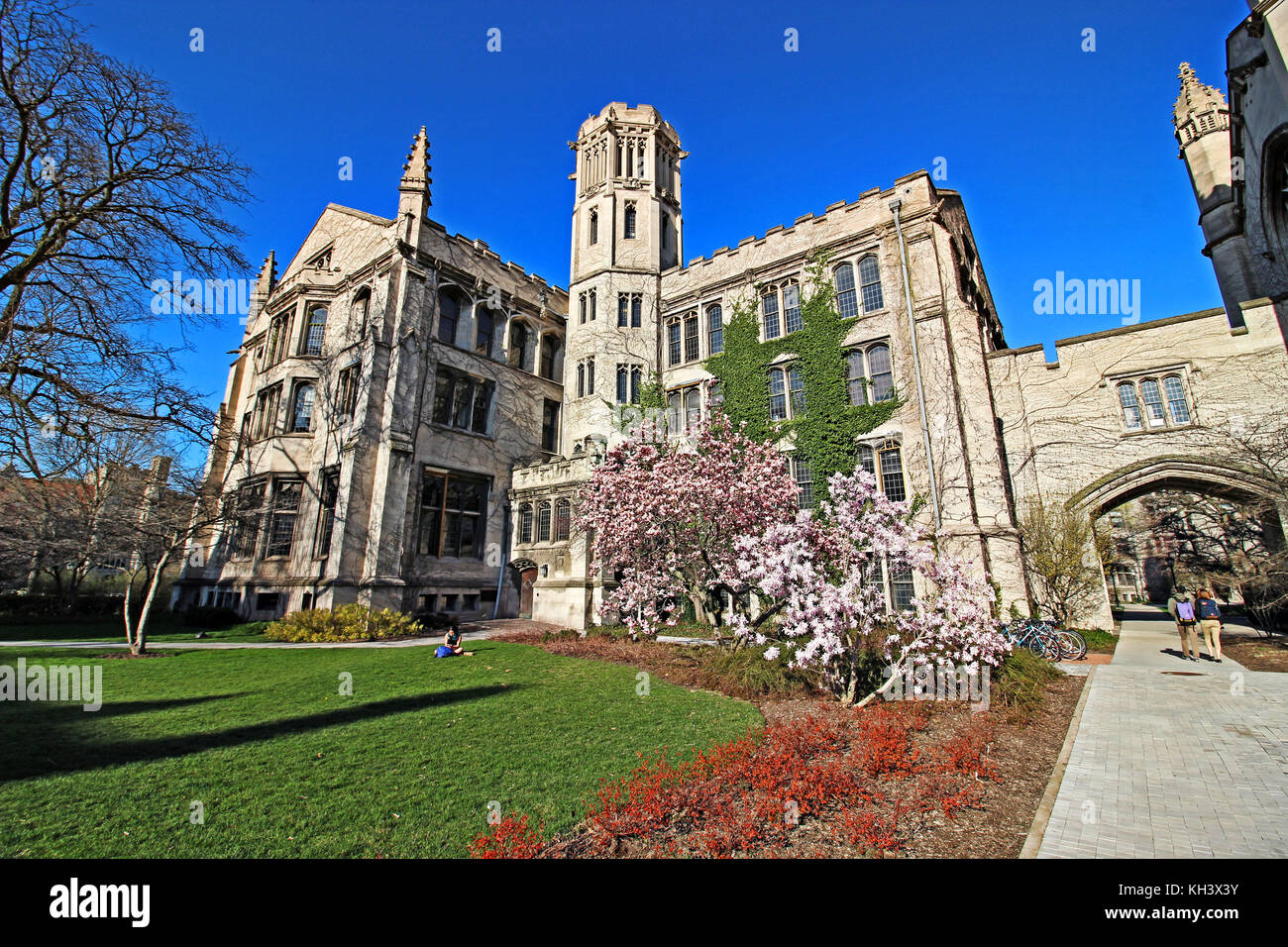 Old university buildings Stock Photo - Alamy
