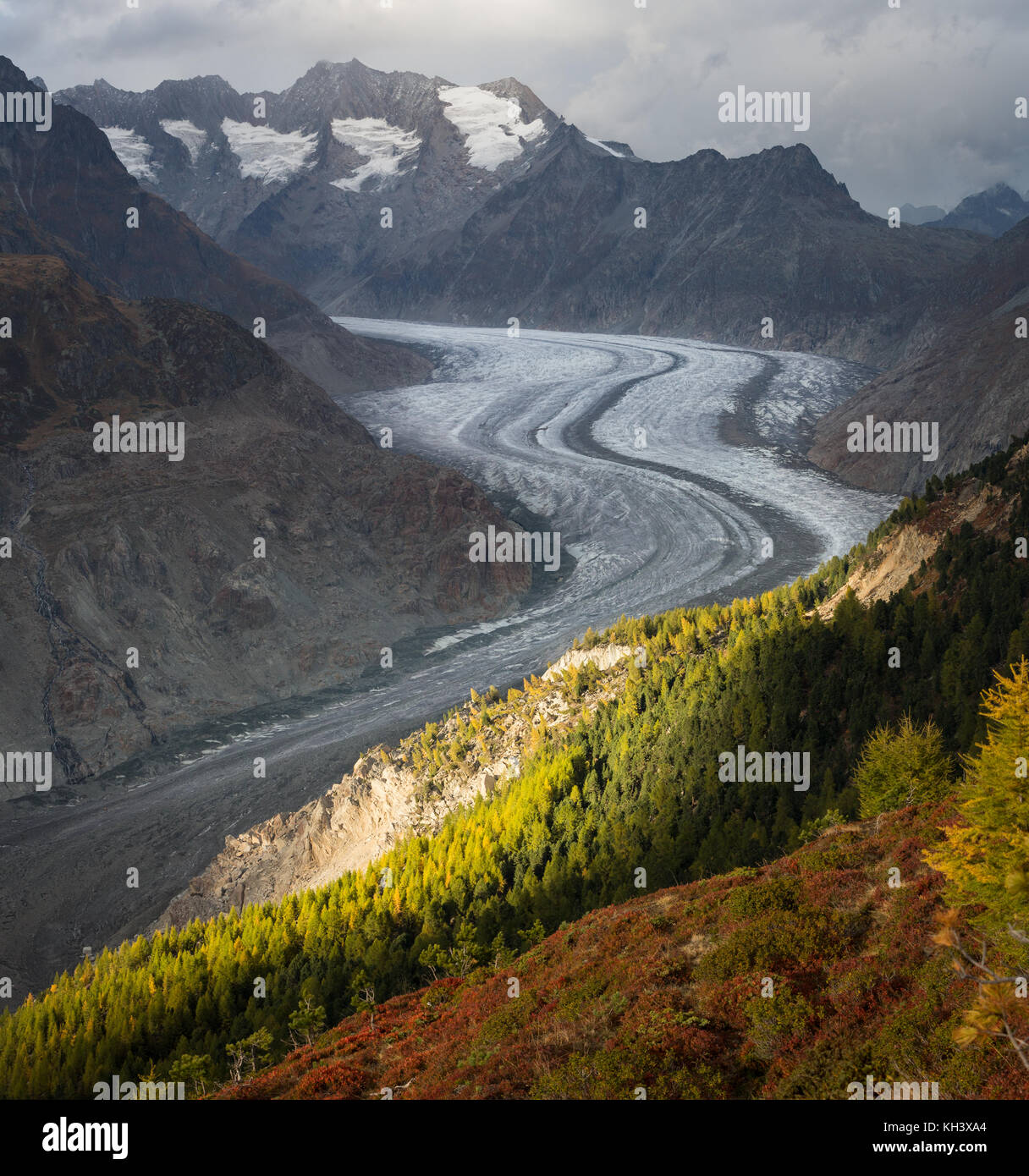 The Great Aletsch glacier, Switzerland: The largest glacier of Europe ...