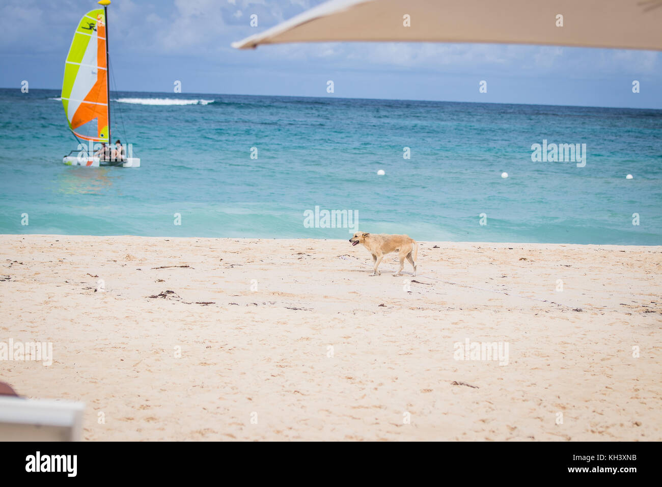 Interior private luxury yacht hi-res stock photography and images - Alamy