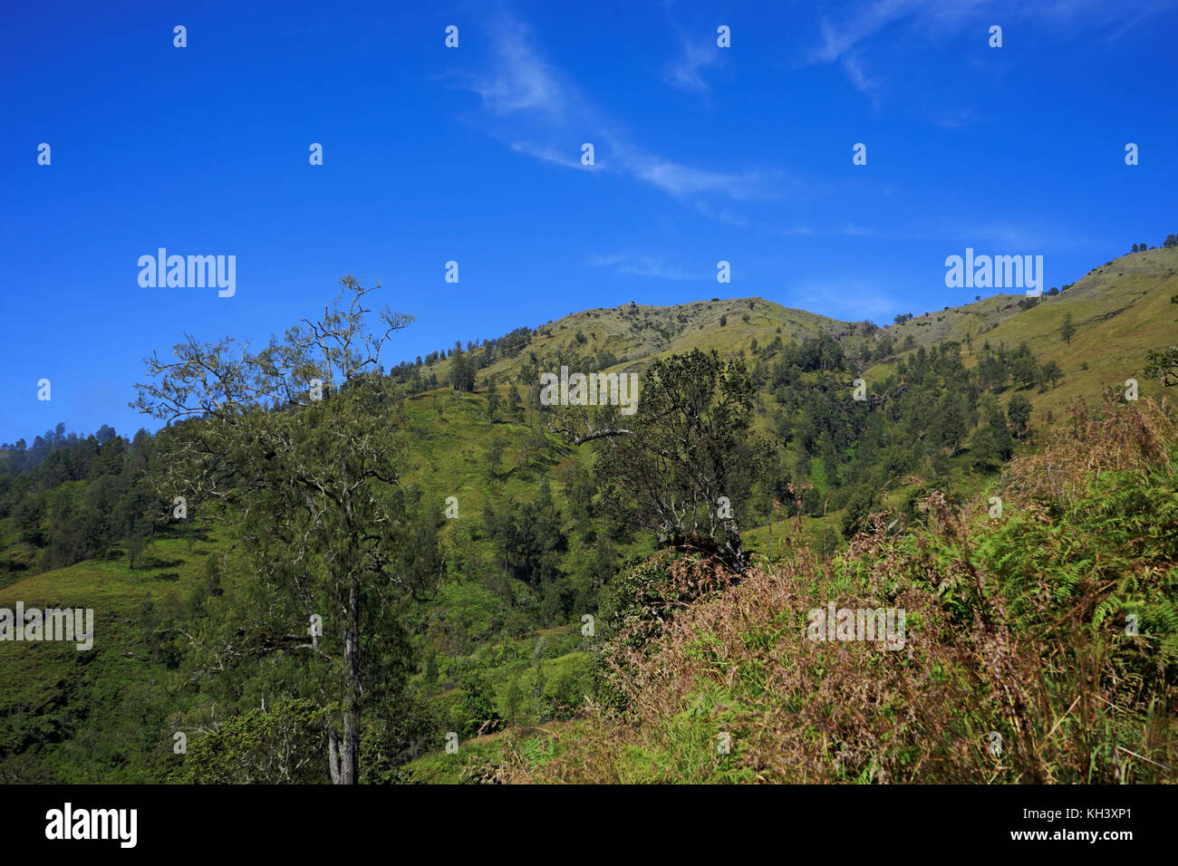 Lombok mountains hi-res stock photography and images - Alamy