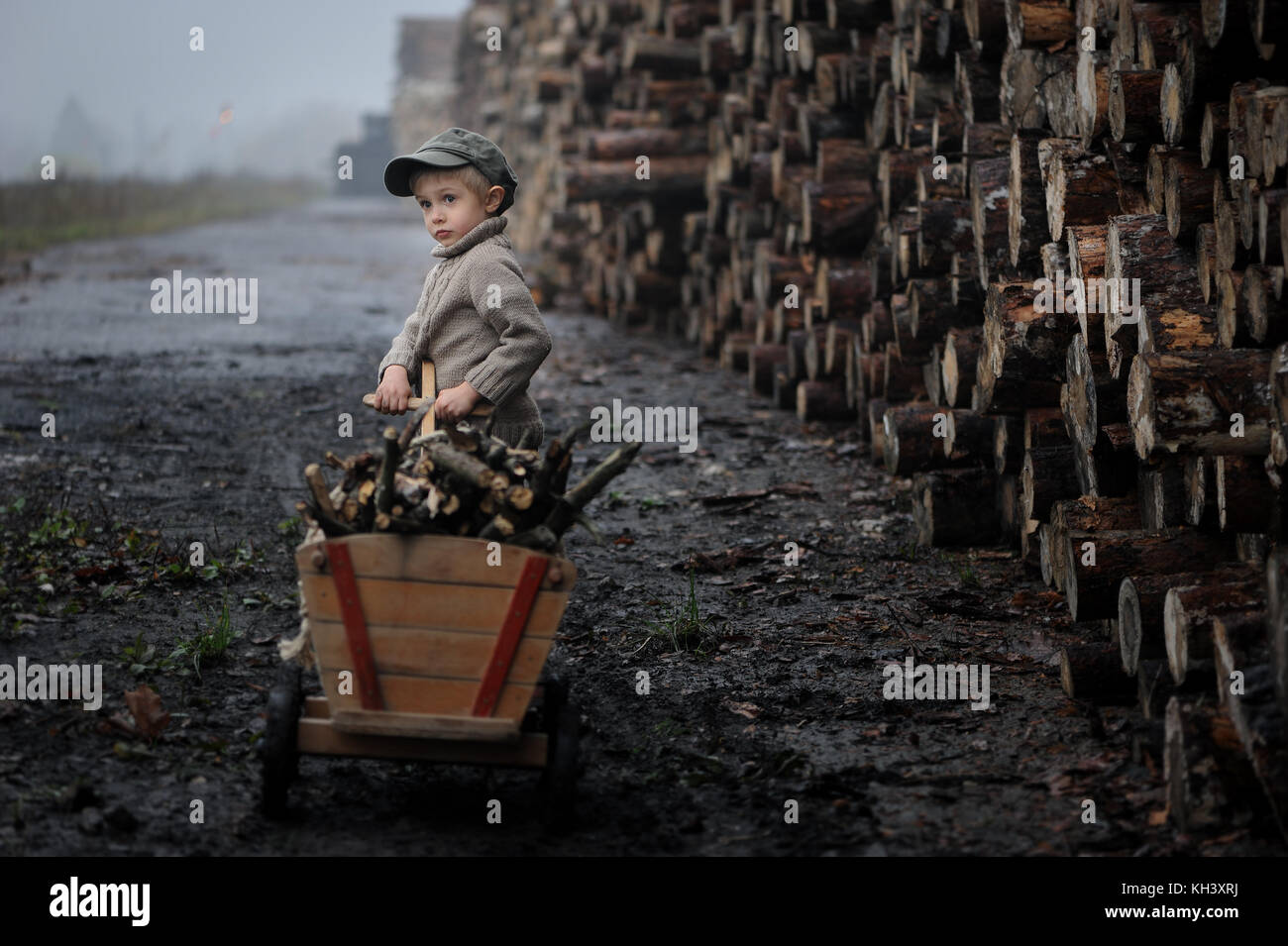 A four years old boy worker pulling a wooden trolley with wood. Looking ...