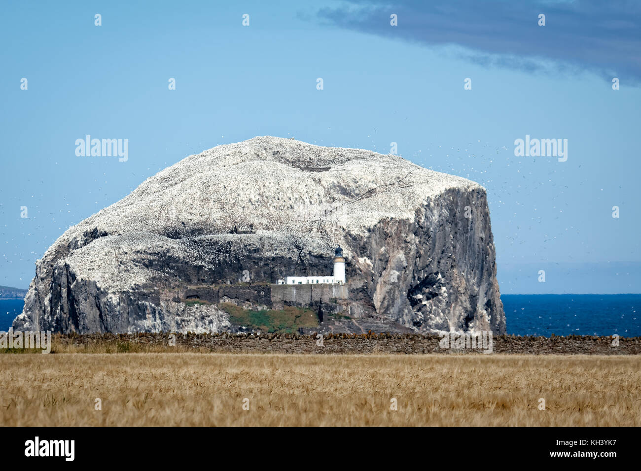 View of Bass Rock Stock Photo - Alamy
