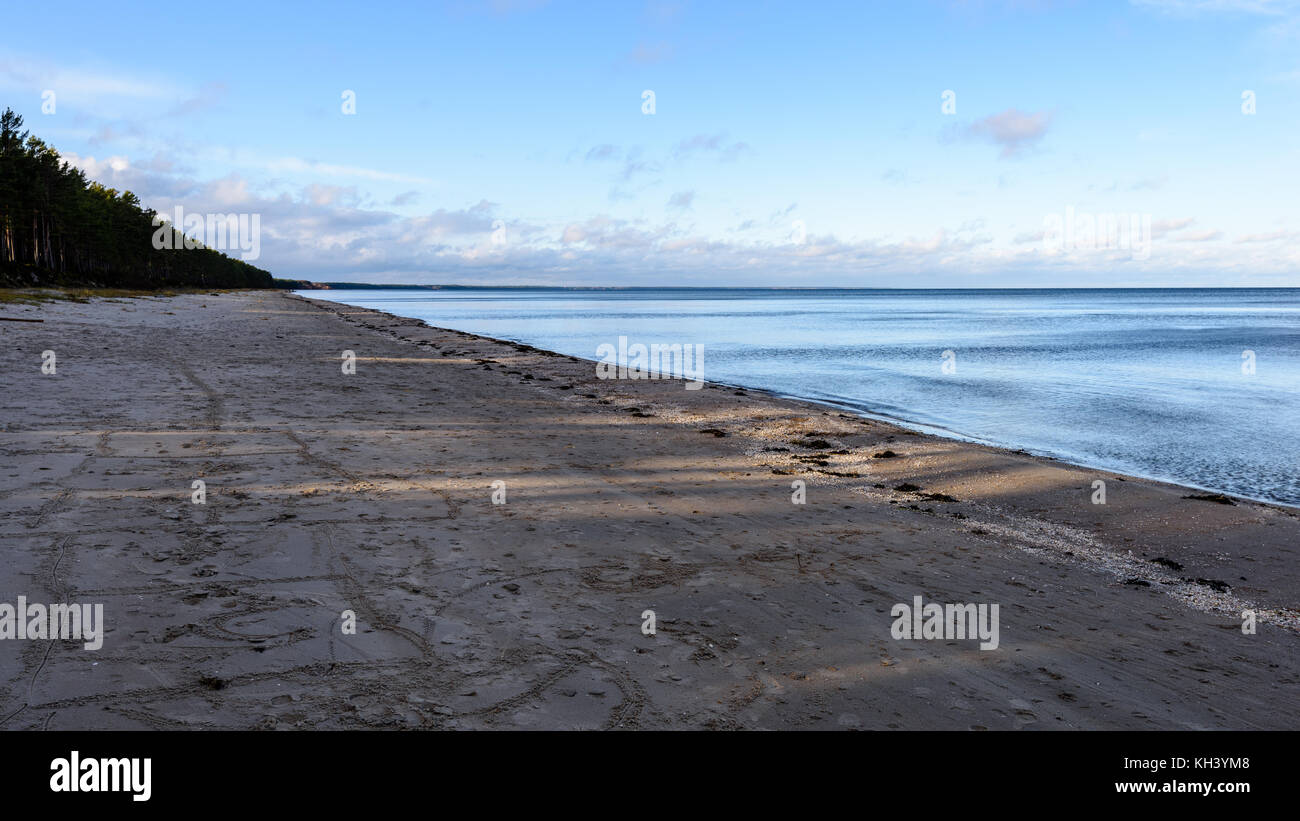 Shoreline of Baltic sea beach with rocks and sand dunes under clouds ...