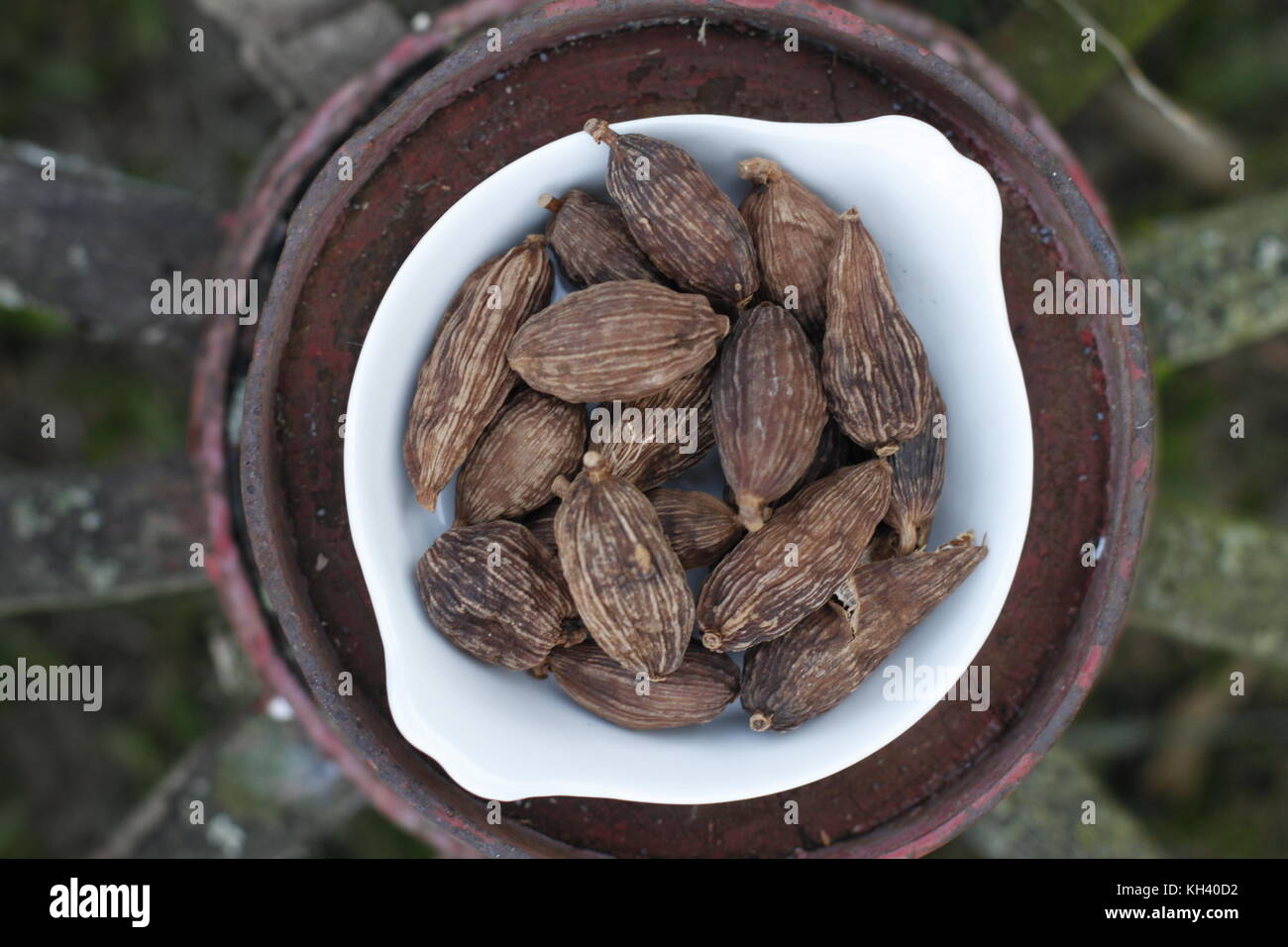 Black cardamom pods inside white bowl over rustic wheel Stock Photo - Alamy