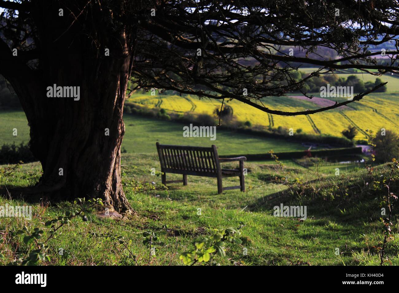 Lovely english countryside hi-res stock photography and images - Alamy