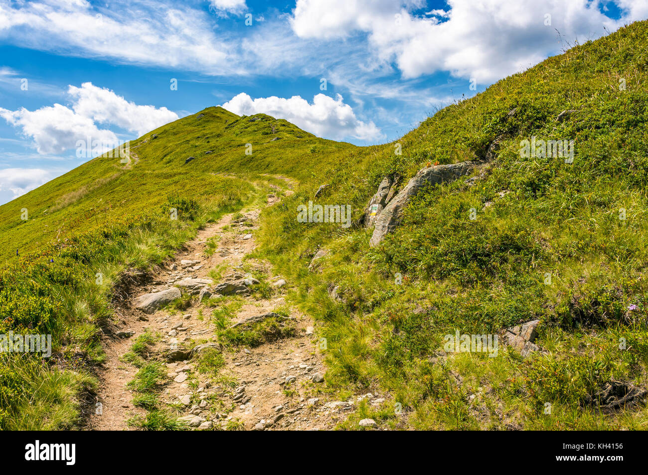path uphill to the peak of mountain ridge. gorgeous summer nature ...