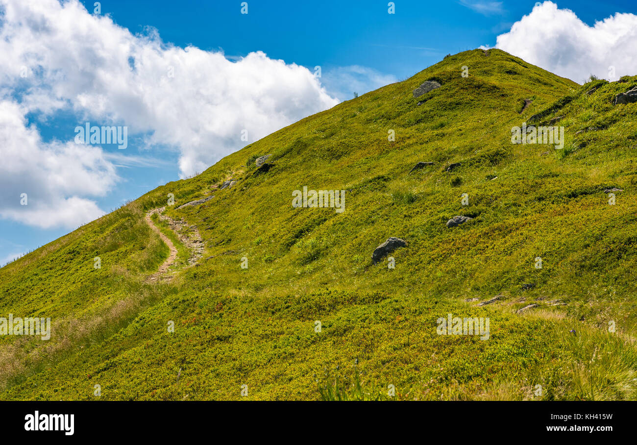 path uphill to the peak of mountain ridge. gorgeous summer nature ...