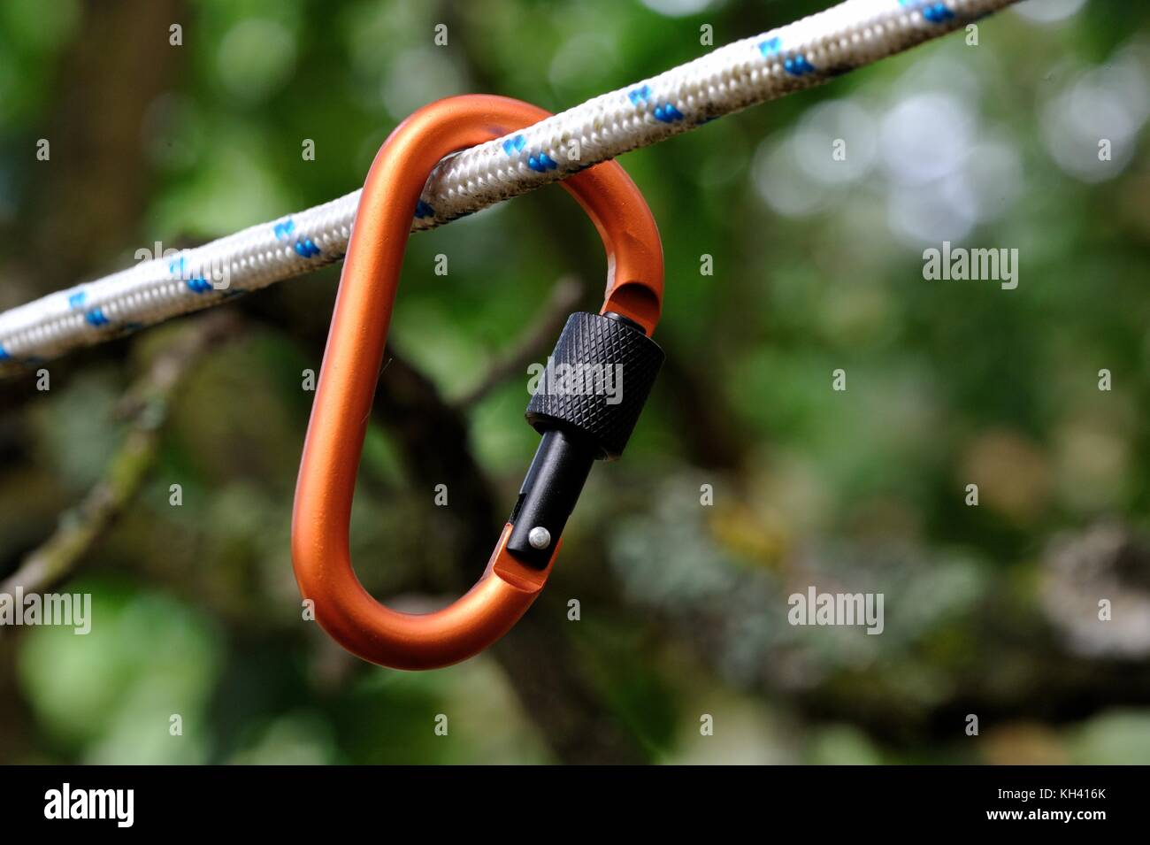Carabiner with rope on nature background. Climbing uquipment.Climbing ...