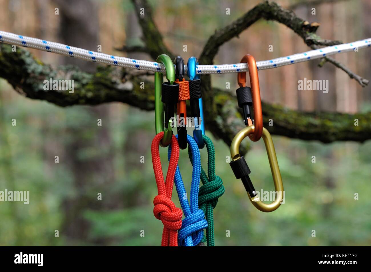 Carabiner with rope on nature background. Climbing uquipment.Climbing ...