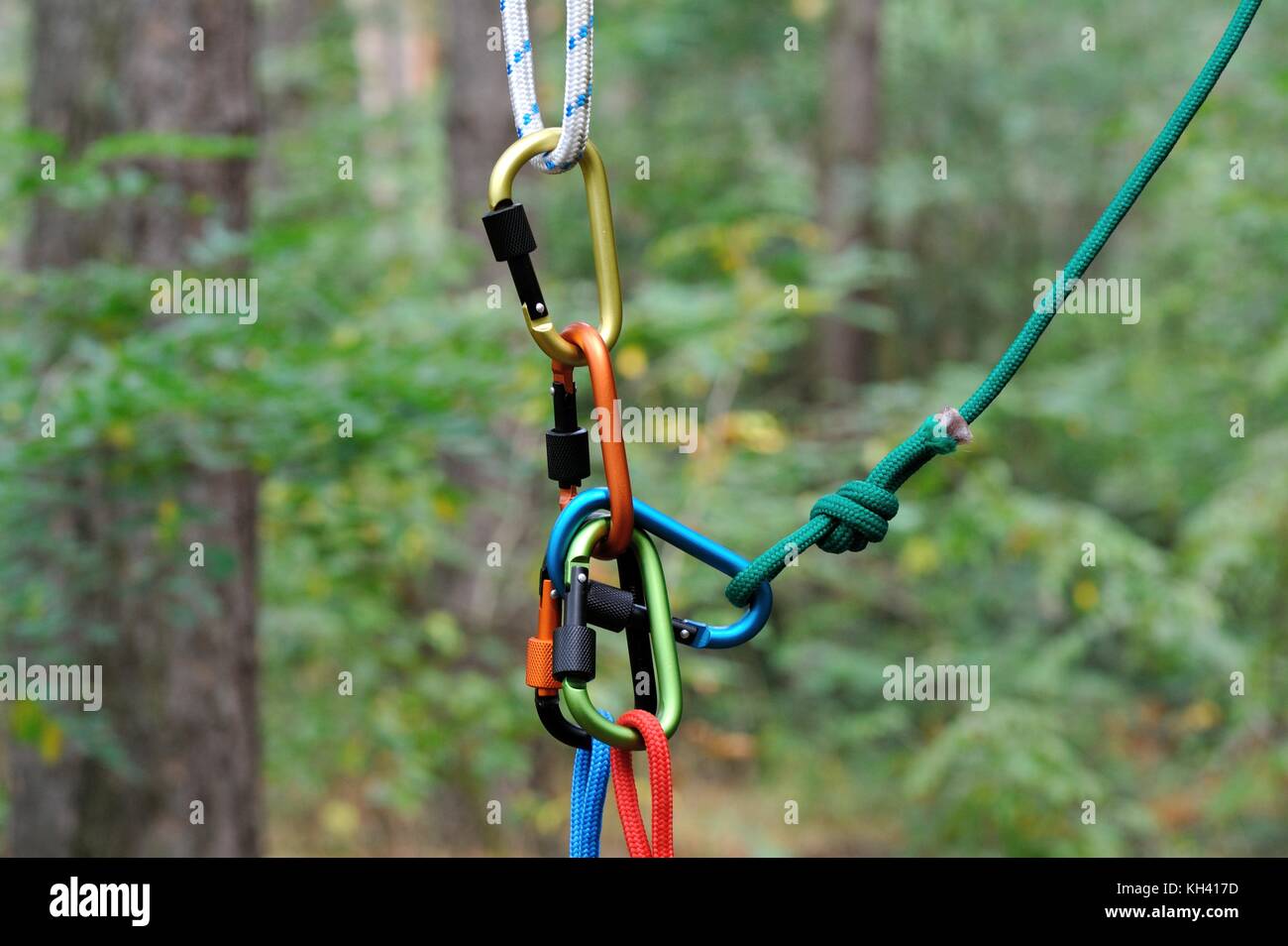 Carabiner with rope on nature background. Climbing uquipment.Climbing ...