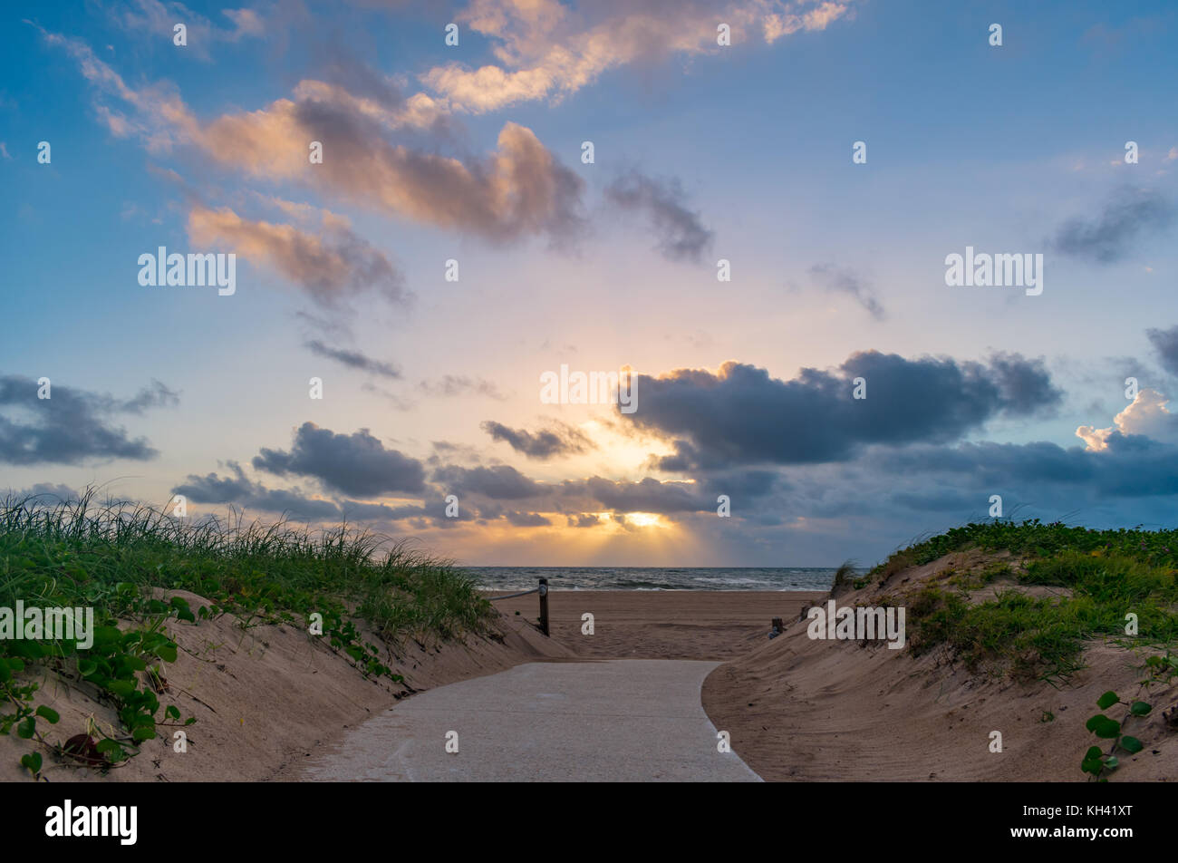 path between sand dunes leading towards the beach on a warm morning ...