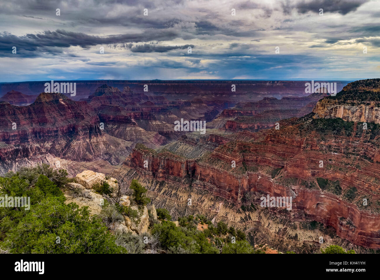 View across Grand Canyon North Rim Arizona Stock Photo - Alamy