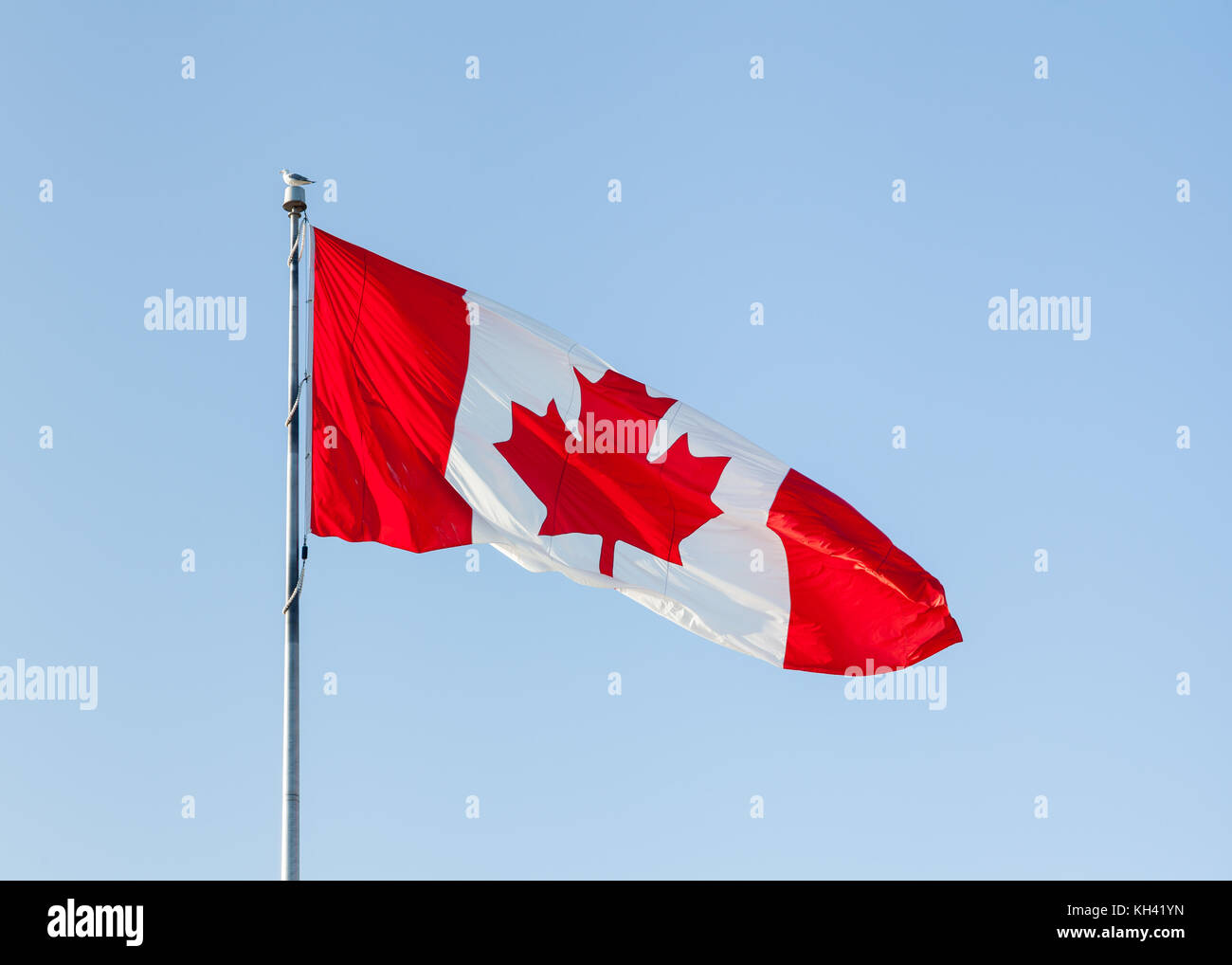 Canadian flag 1965 hi-res stock photography and images - Alamy