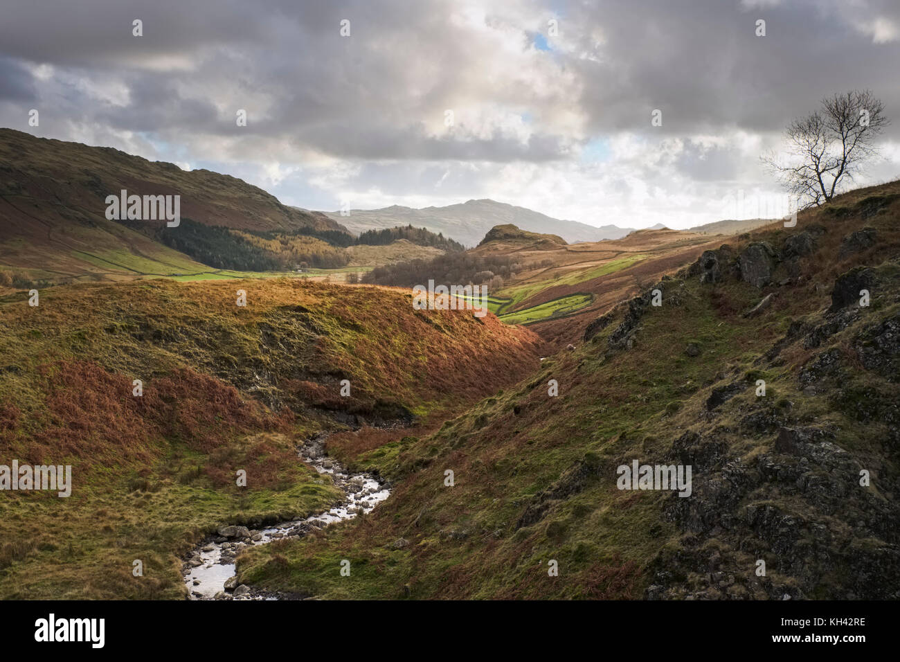 Stream running through remote landscape in the Lake District Stock ...