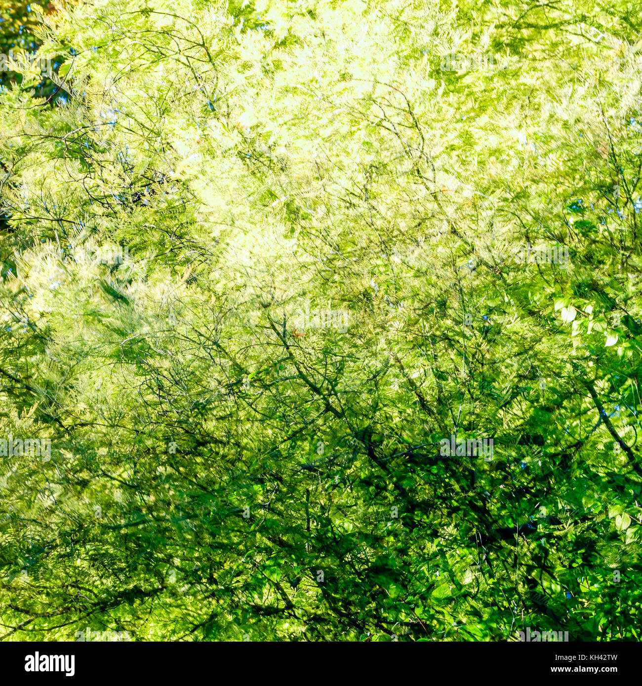 Autumn beautiful natural colors background Stock Photo - Alamy