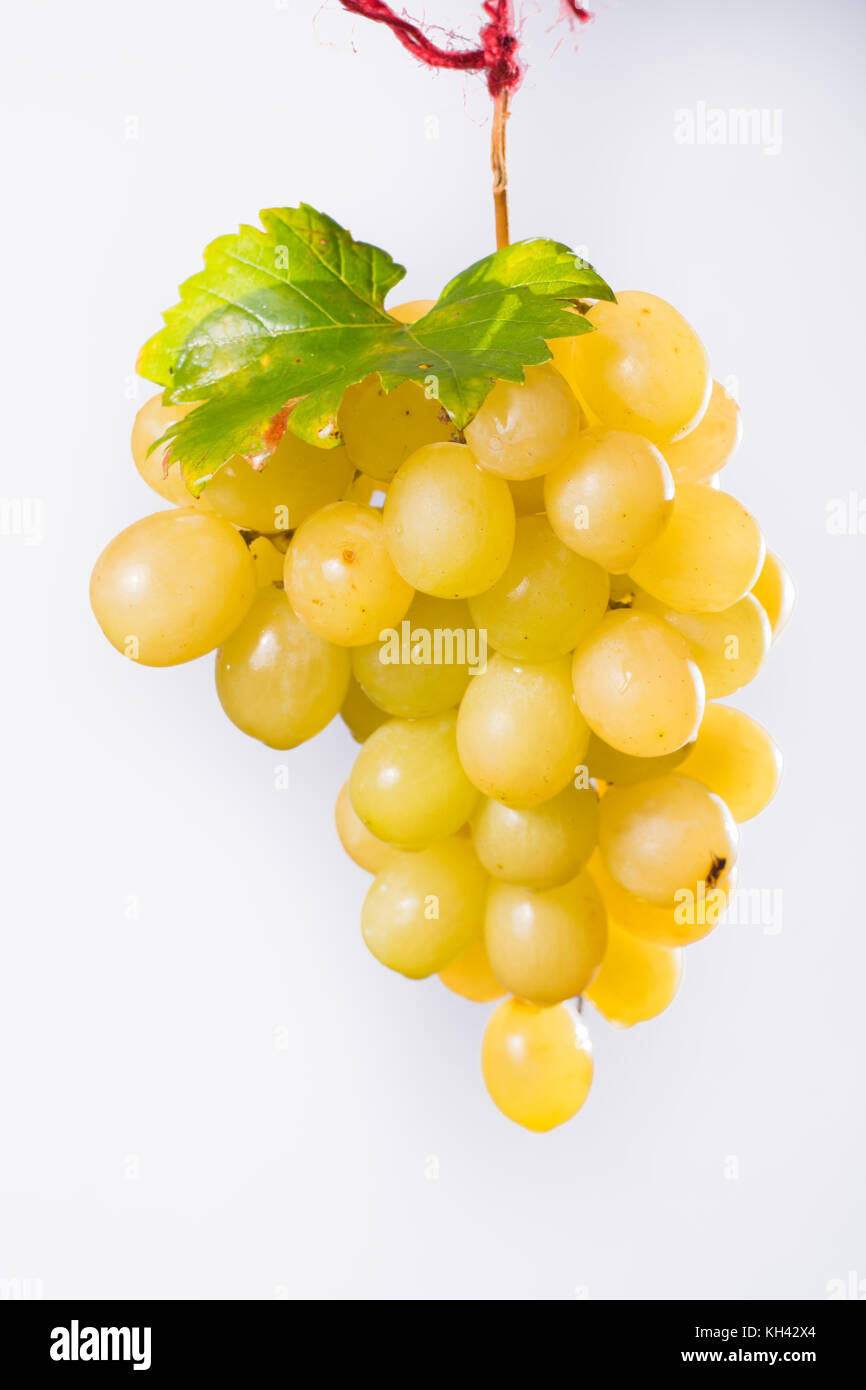 Table grapes of australia hi-res stock photography and images - Alamy