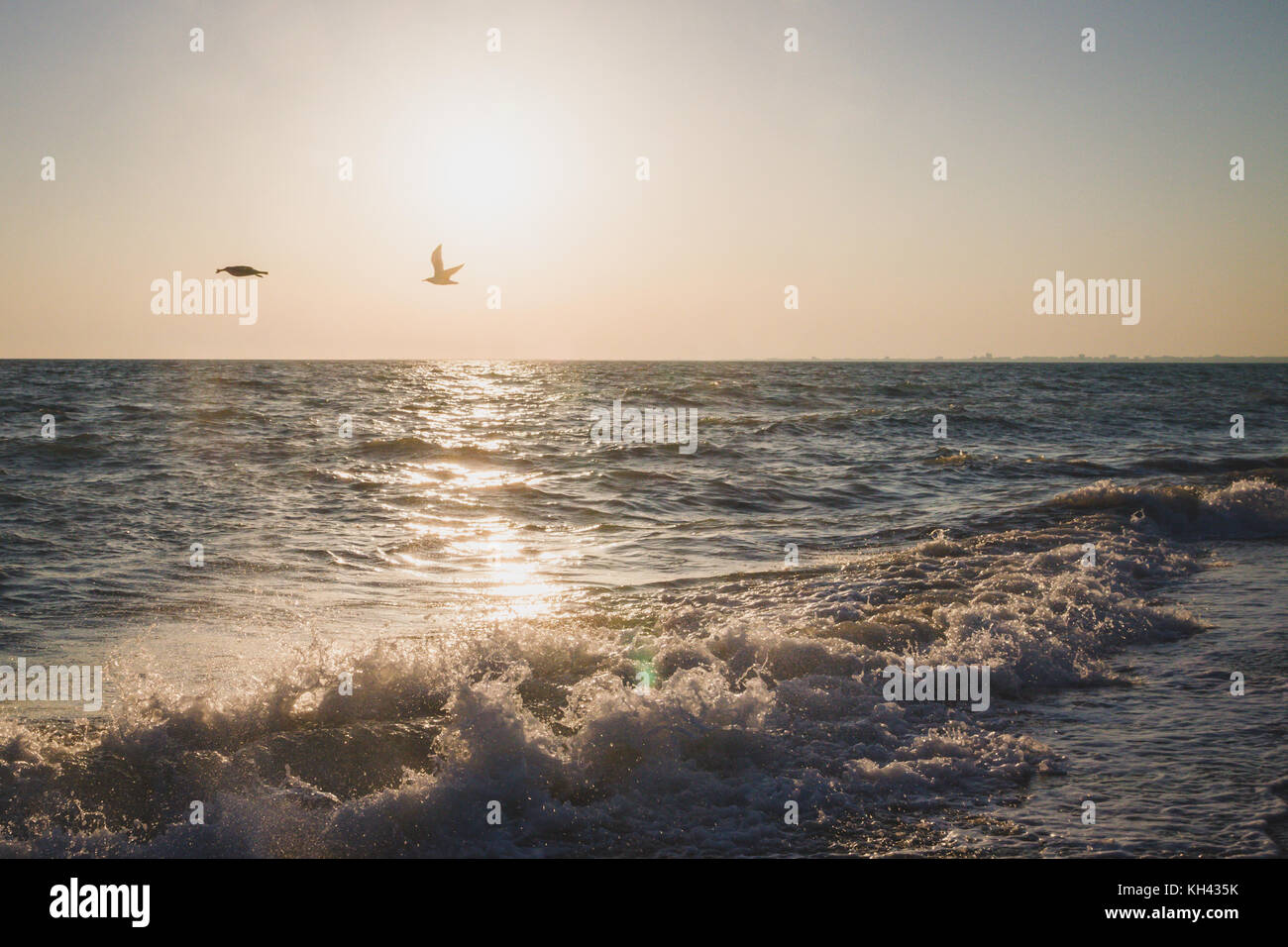 Beautiful sunset on the summer sea Stock Photo - Alamy