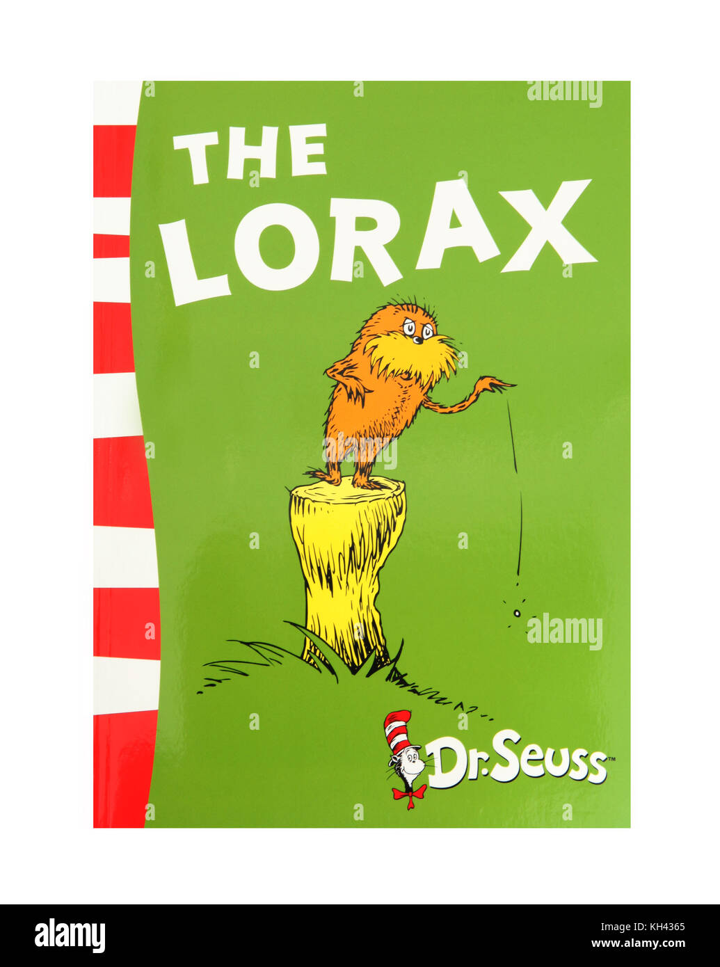 Dr Seuss The Lorax Book