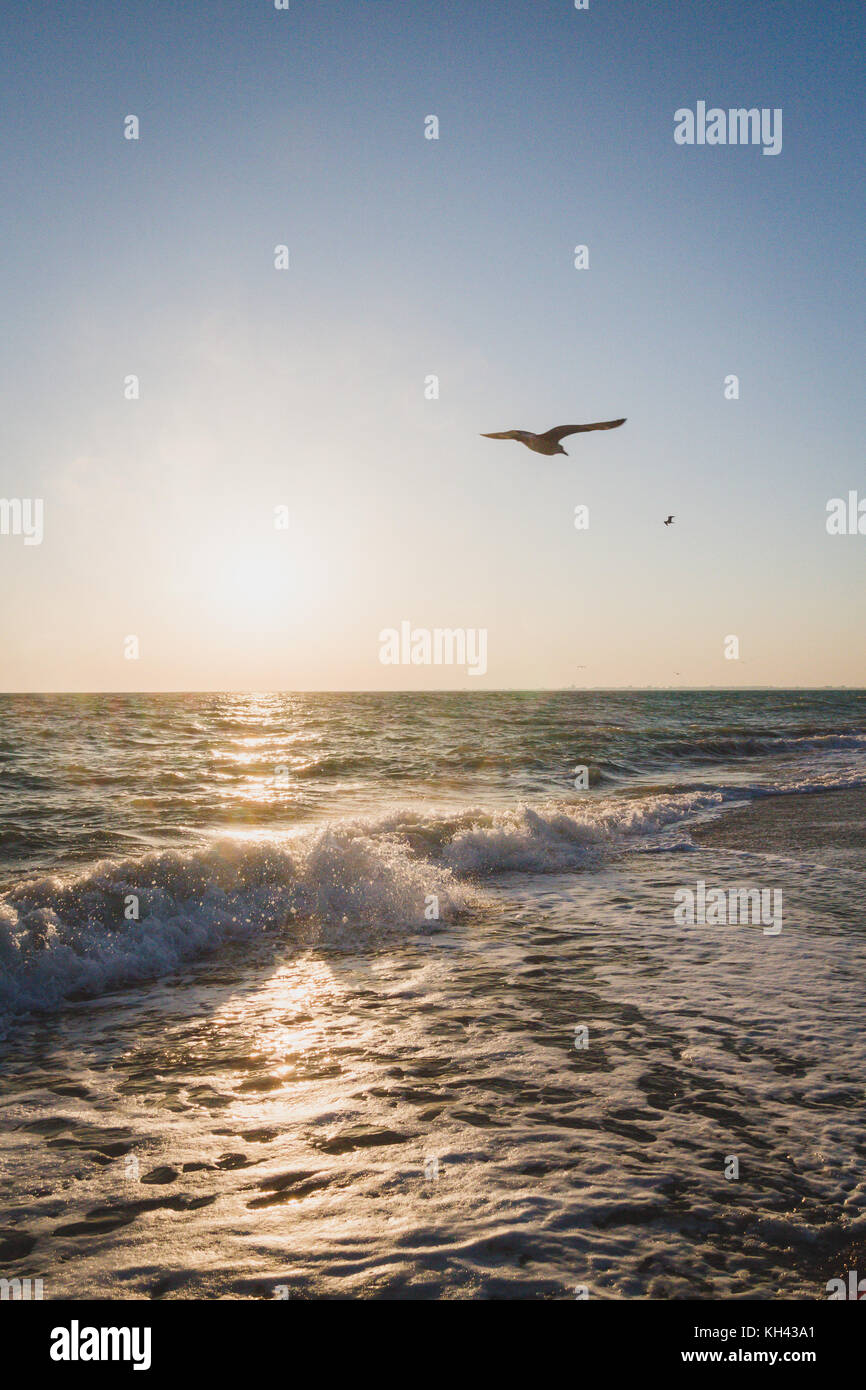 Beautiful sunset on the summer sea Stock Photo - Alamy