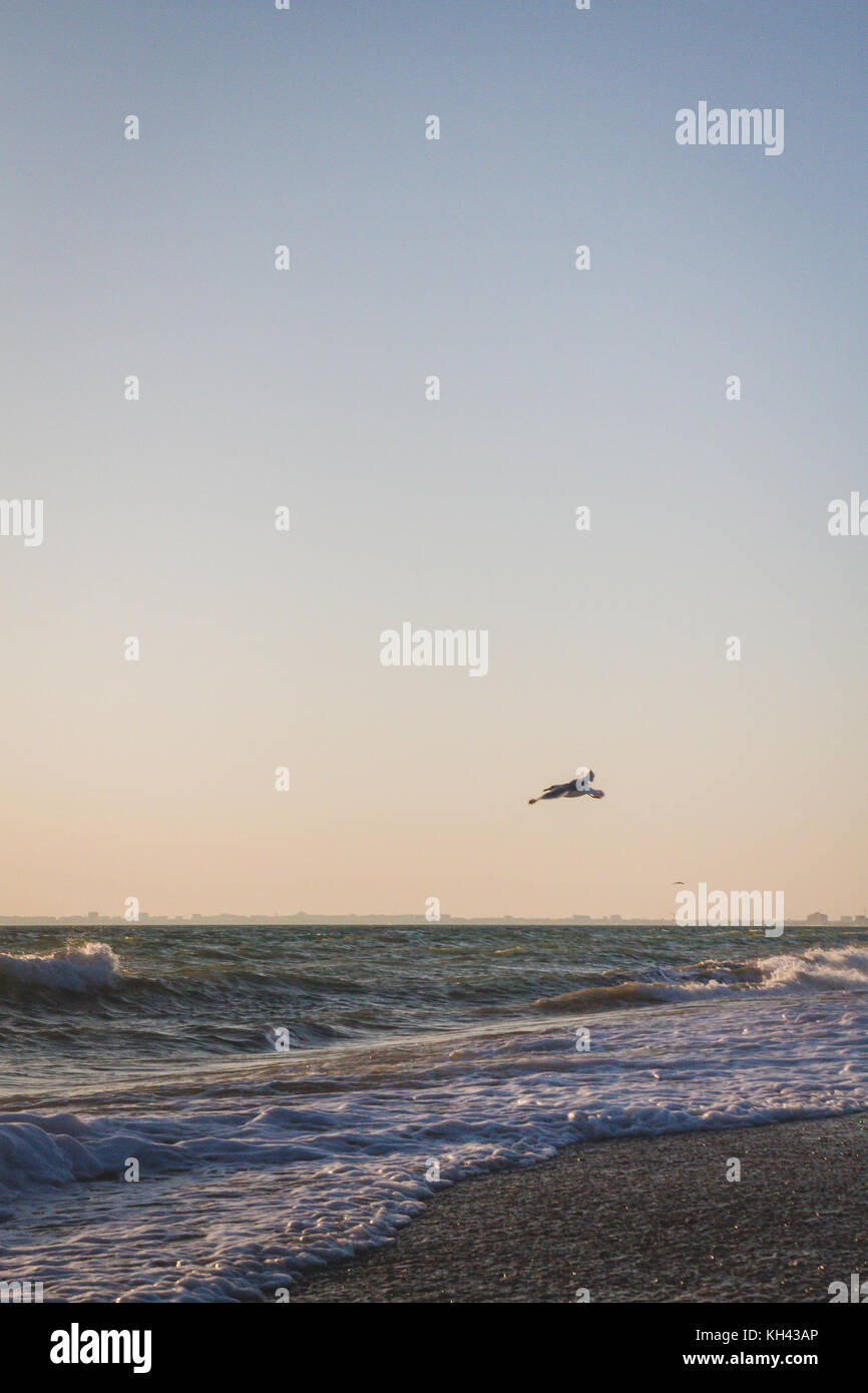Beautiful sunset on the summer sea Stock Photo - Alamy
