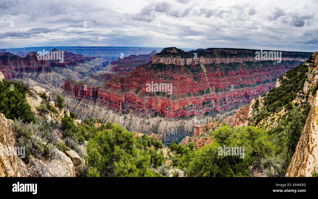 Panorama View across Grand Canyon South Rim Arizona Stock Photo - Alamy