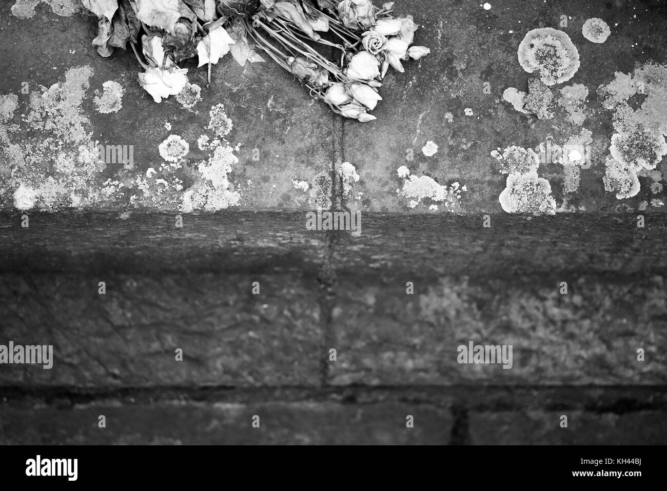 Tombstone inside a city or funeral memorial Stock Photo - Alamy