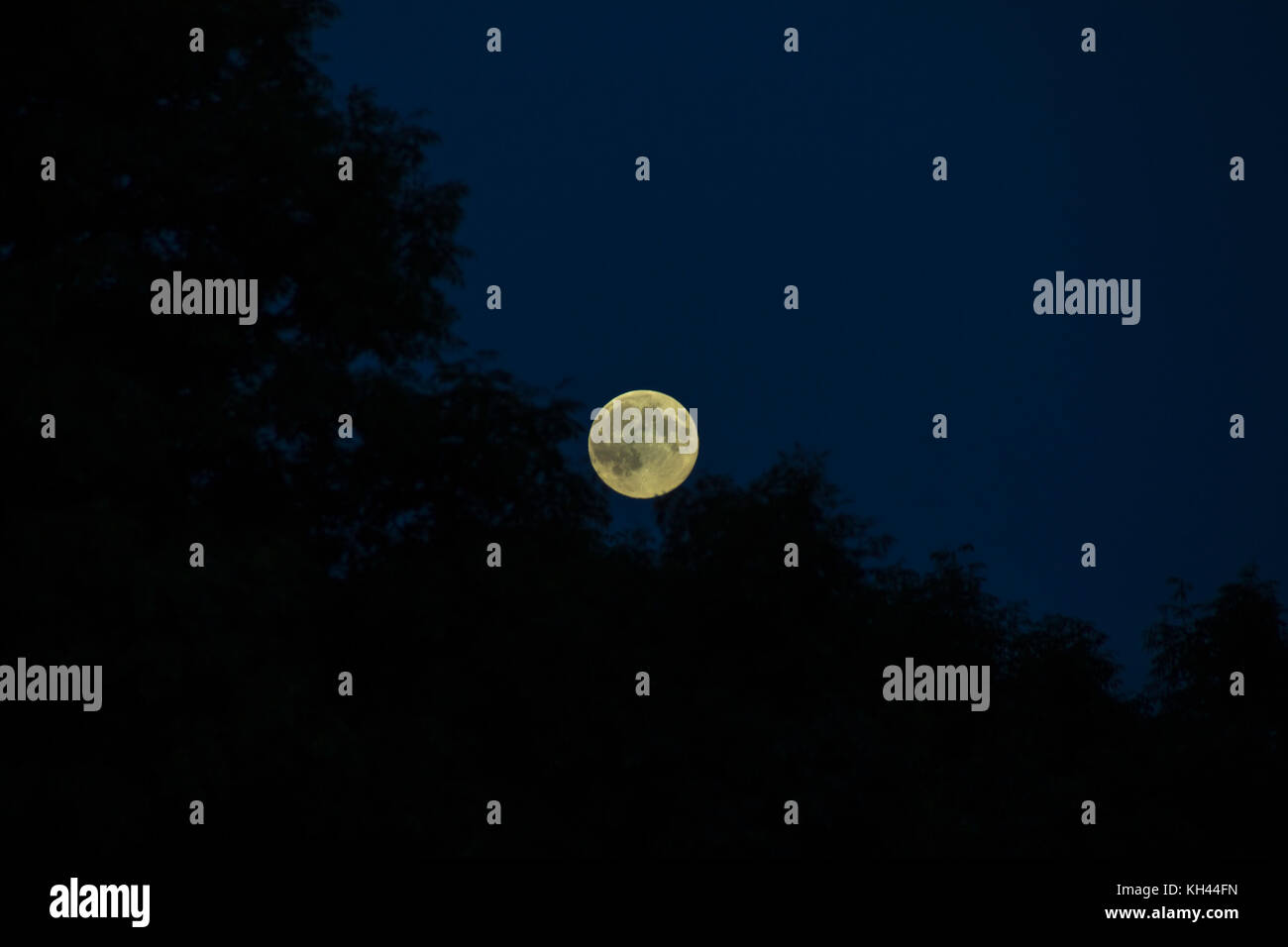 Full moon rises Stock Photo - Alamy