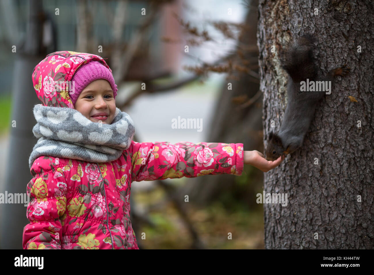 Little girl with hand feeding a squirrel in the Park Stock Photo - Alamy