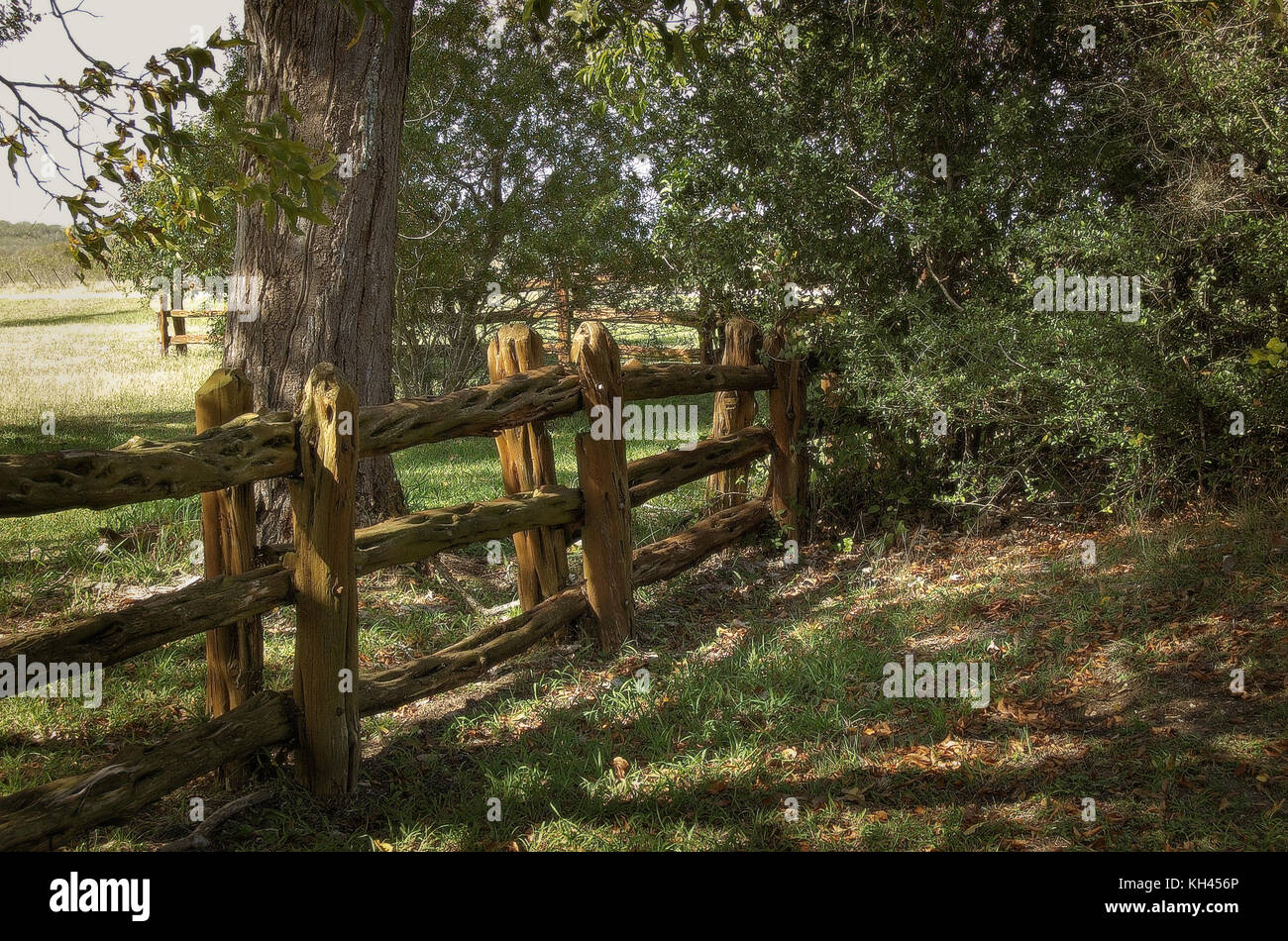 Tree branch fence in the countryside with oak trees Stock Photo - Alamy