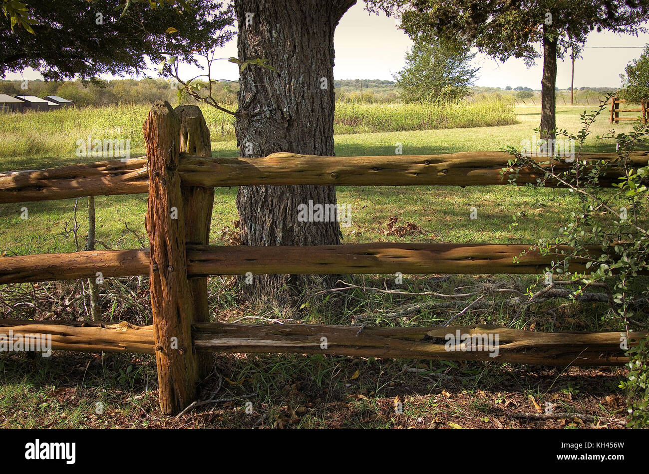 Tree branch fence in the countryside with oak trees Stock Photo - Alamy