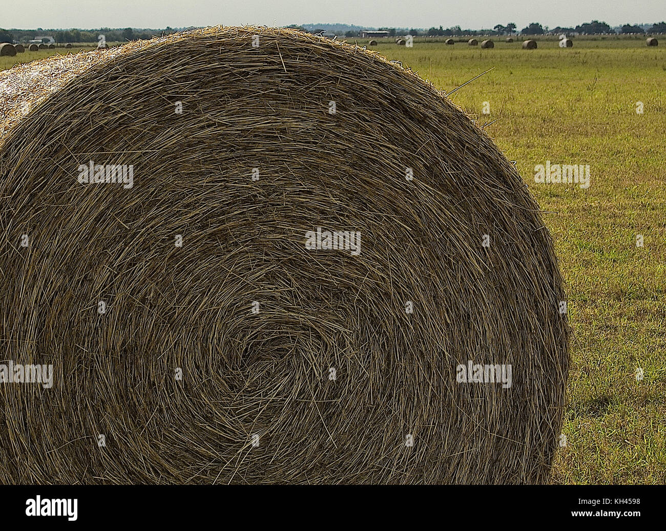 Bail in hi-res stock photography and images - Alamy