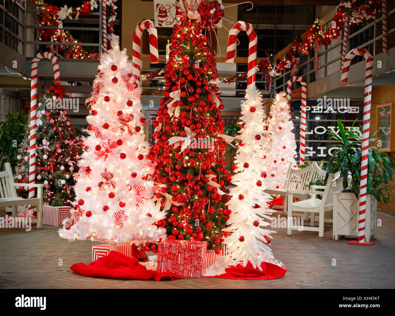 Christmas trees on display in a Christmas store Stock Photo - Alamy