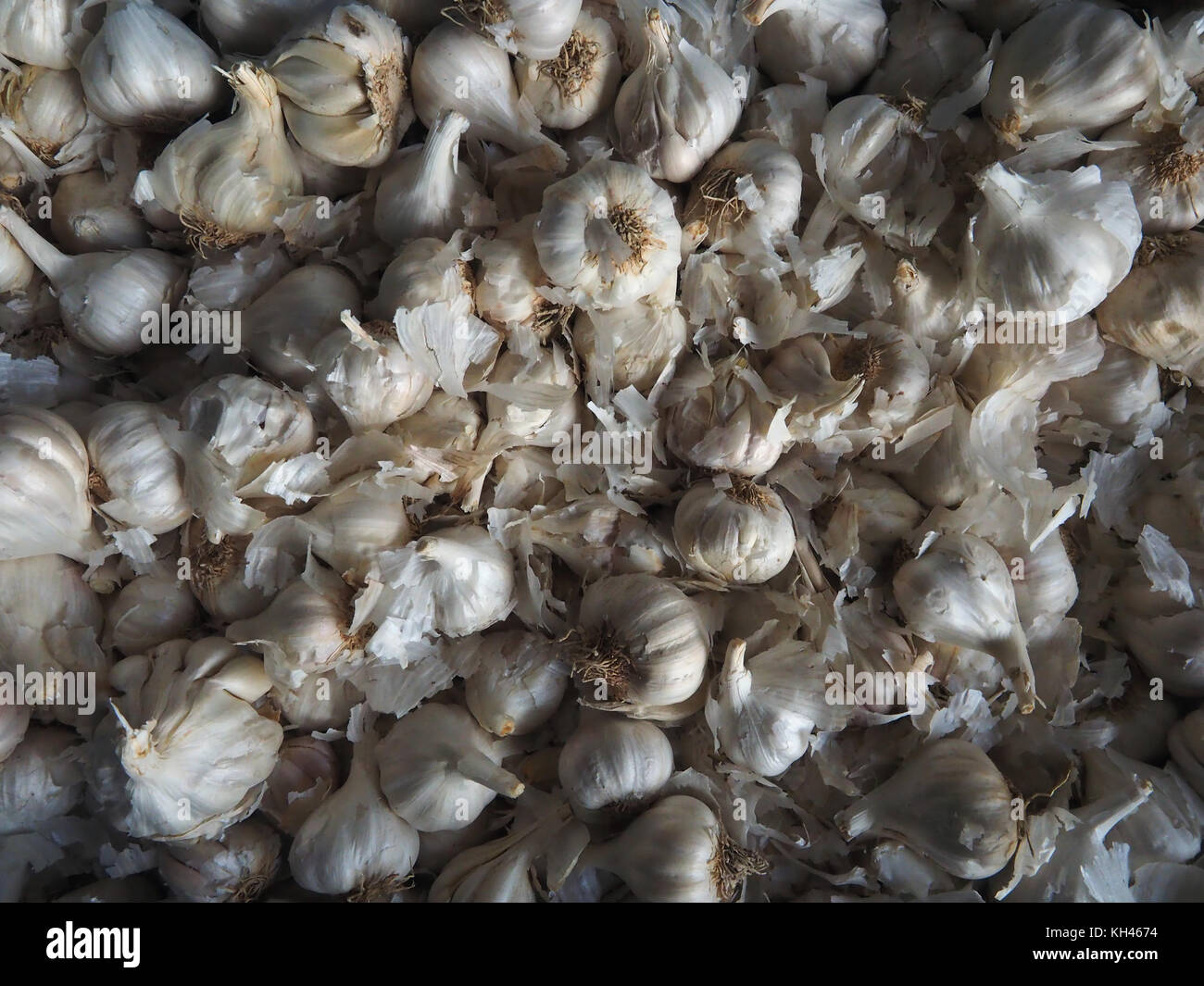 Purified garlic background from the heads of garlic and husk Stock ...