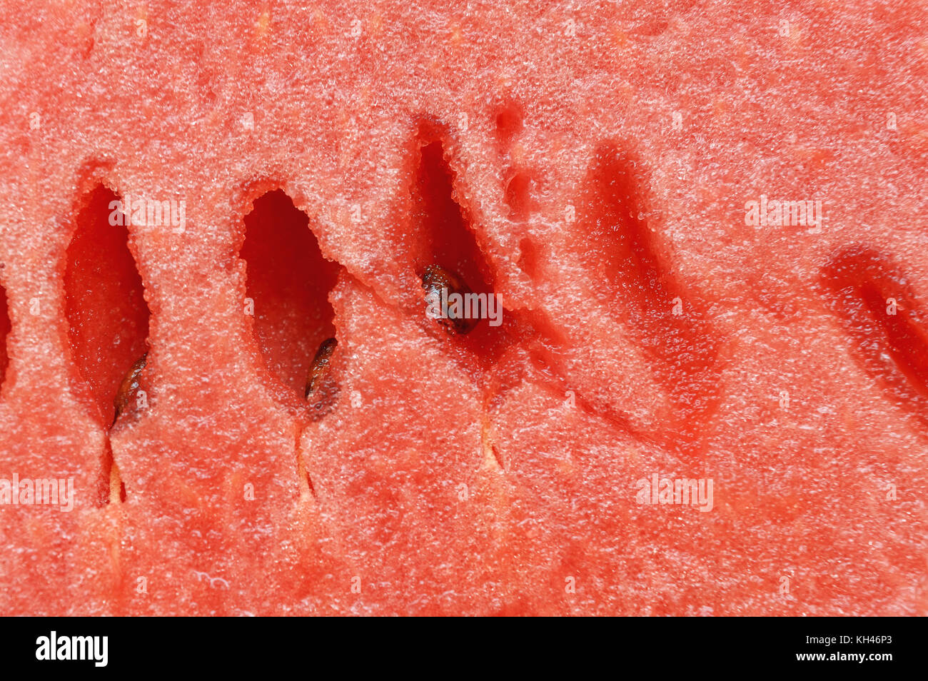 Closeup of watermelon Stock Photo - Alamy