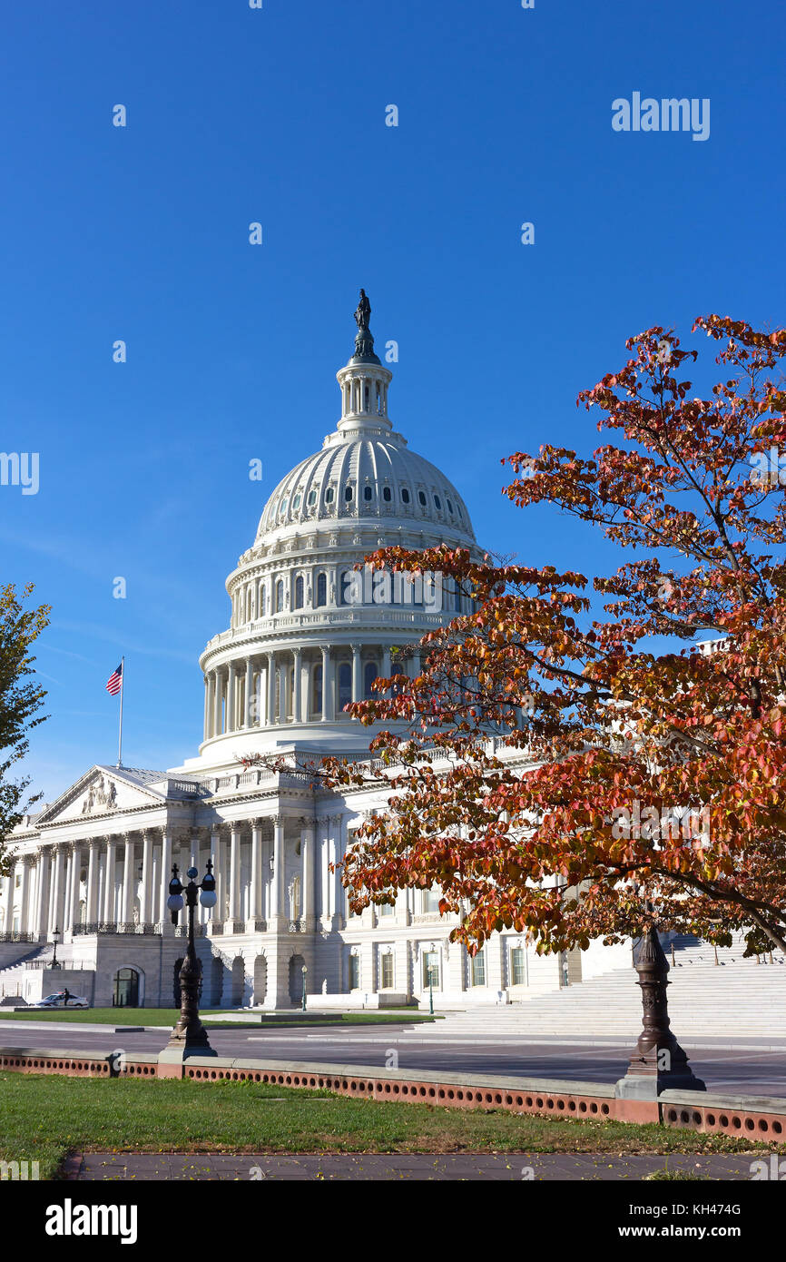 The United States Capitol dome in autumn, Washington DC, USA. Colorful ...
