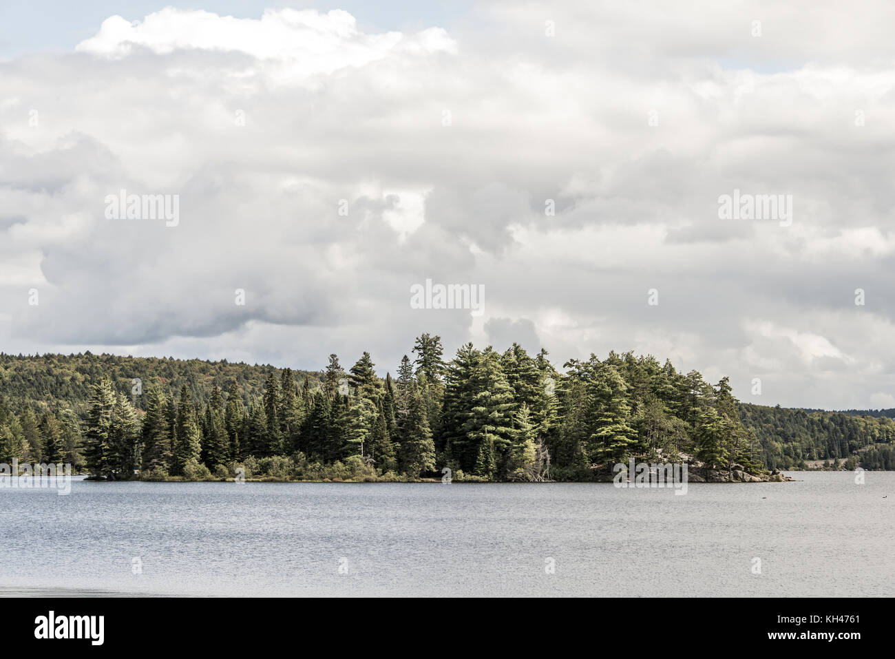 Canada Ontario Lake of two rivers - natural wild landscape near the ...