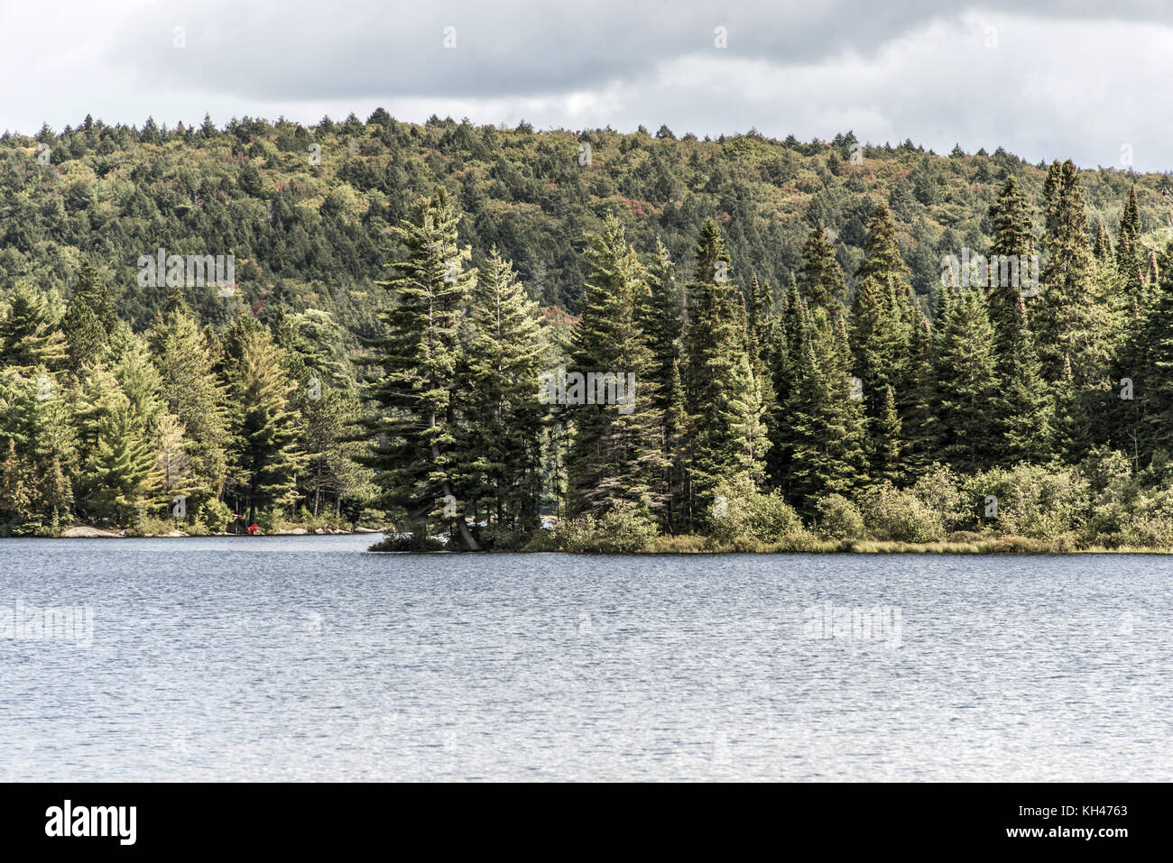 Canada Ontario Lake of two rivers - natural wild landscape near the ...
