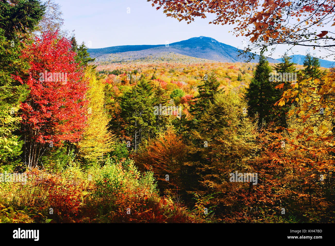 Colorful Fall Foliage in the White Mountains with the Presidential ...