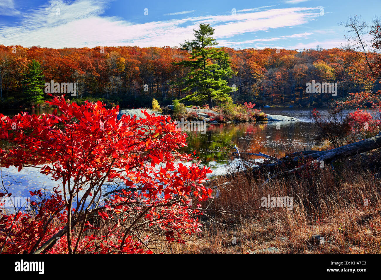 Little Island in a Lake During Fall Foliage, Harroman State Park, New ...