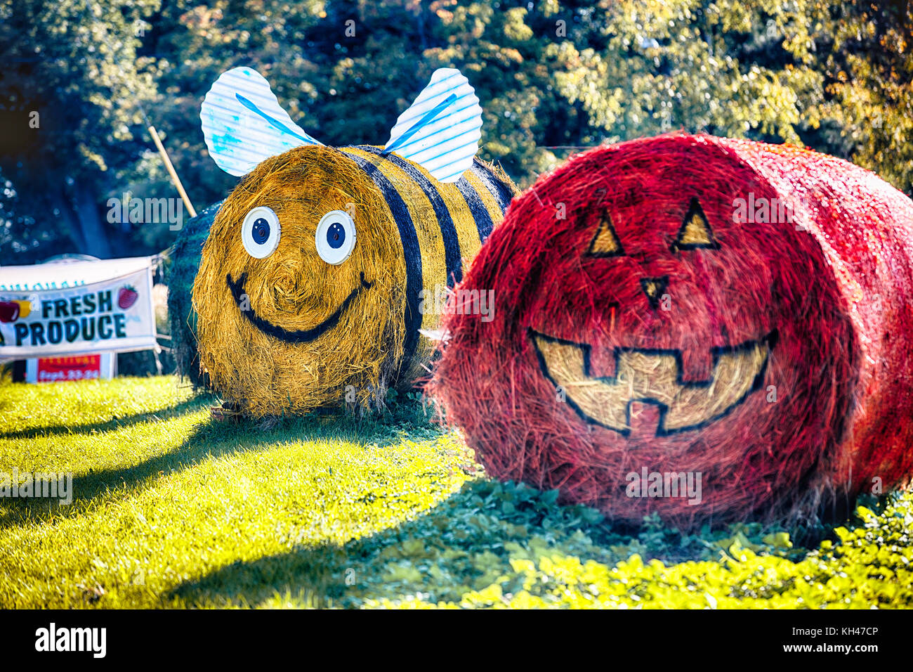 Painted pumpkin faces hi-res stock photography and images - Alamy