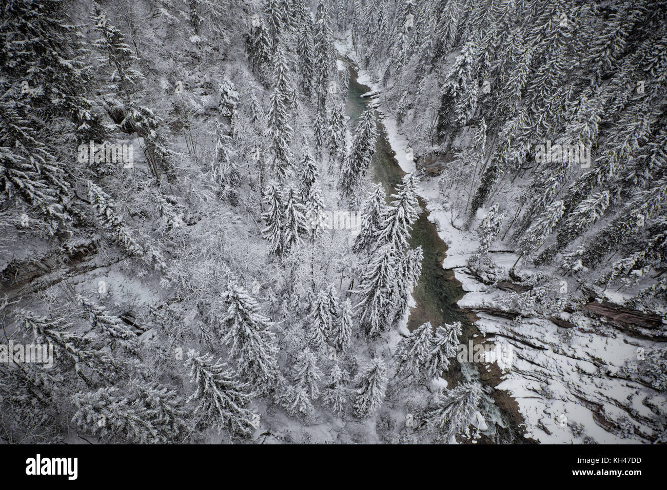 Snowy forest and river. Top view from above Stock Photo - Alamy