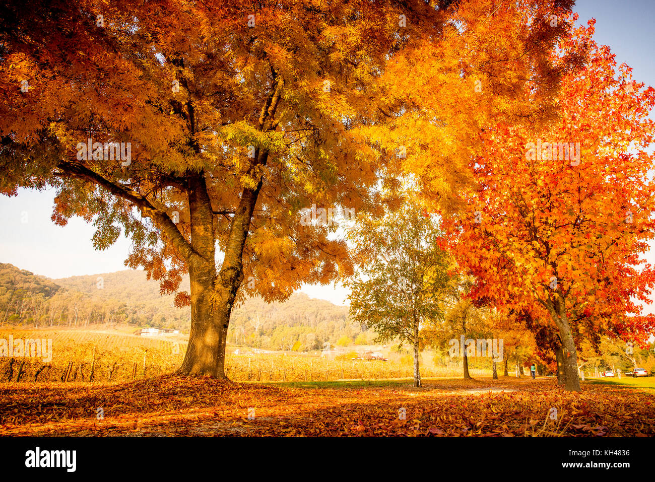 Australia in colour hi-res stock photography and images - Alamy